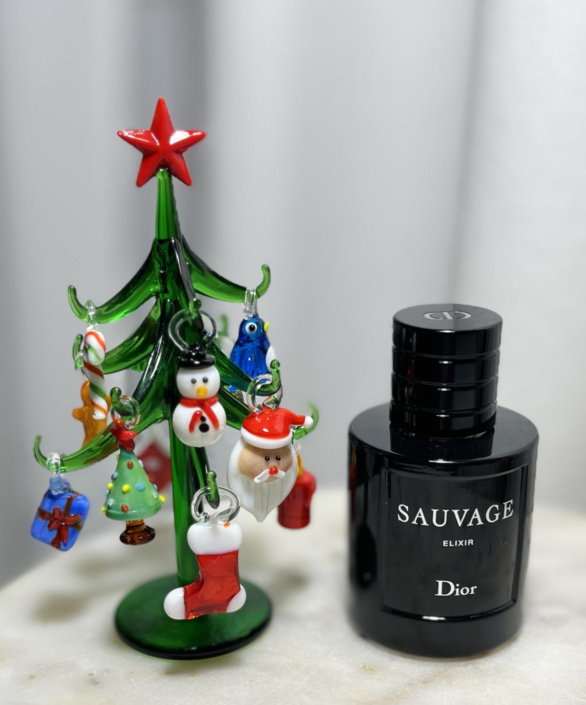 Sauvage Elixir Dior Cologne - un parfum pour homme 2021