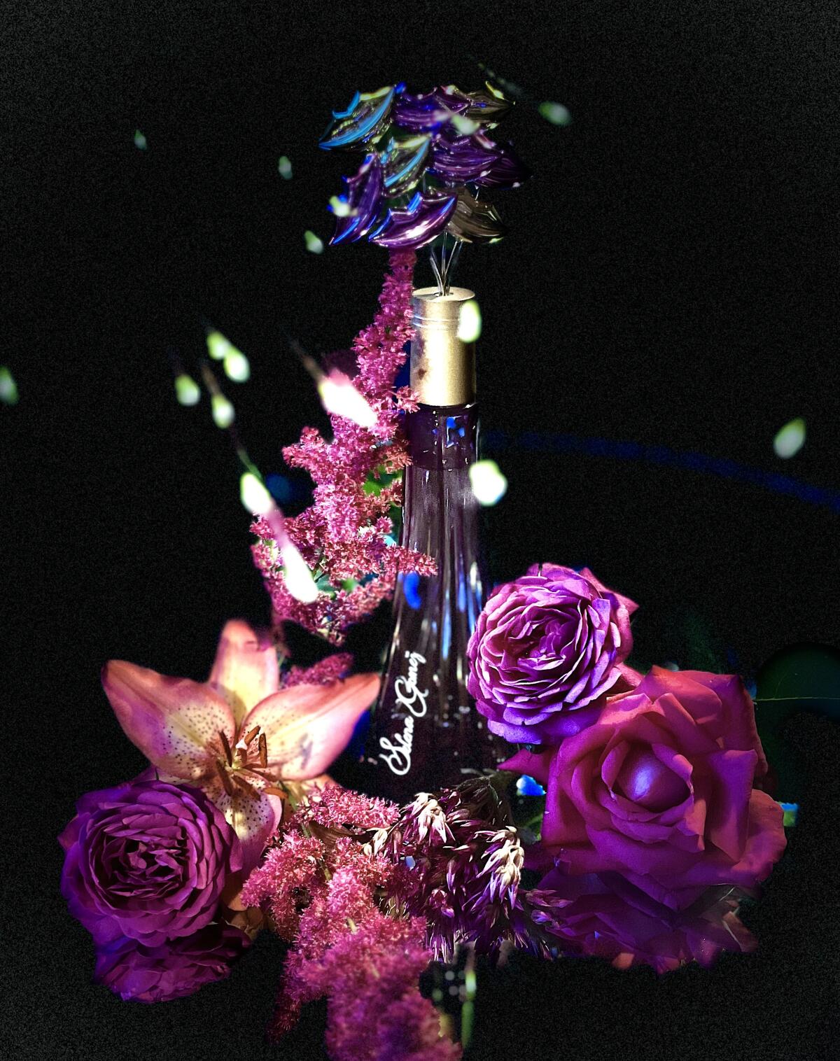 Selena Gomez Eau de Parfum Selena Gomez perfume - a fragrância Feminino ...