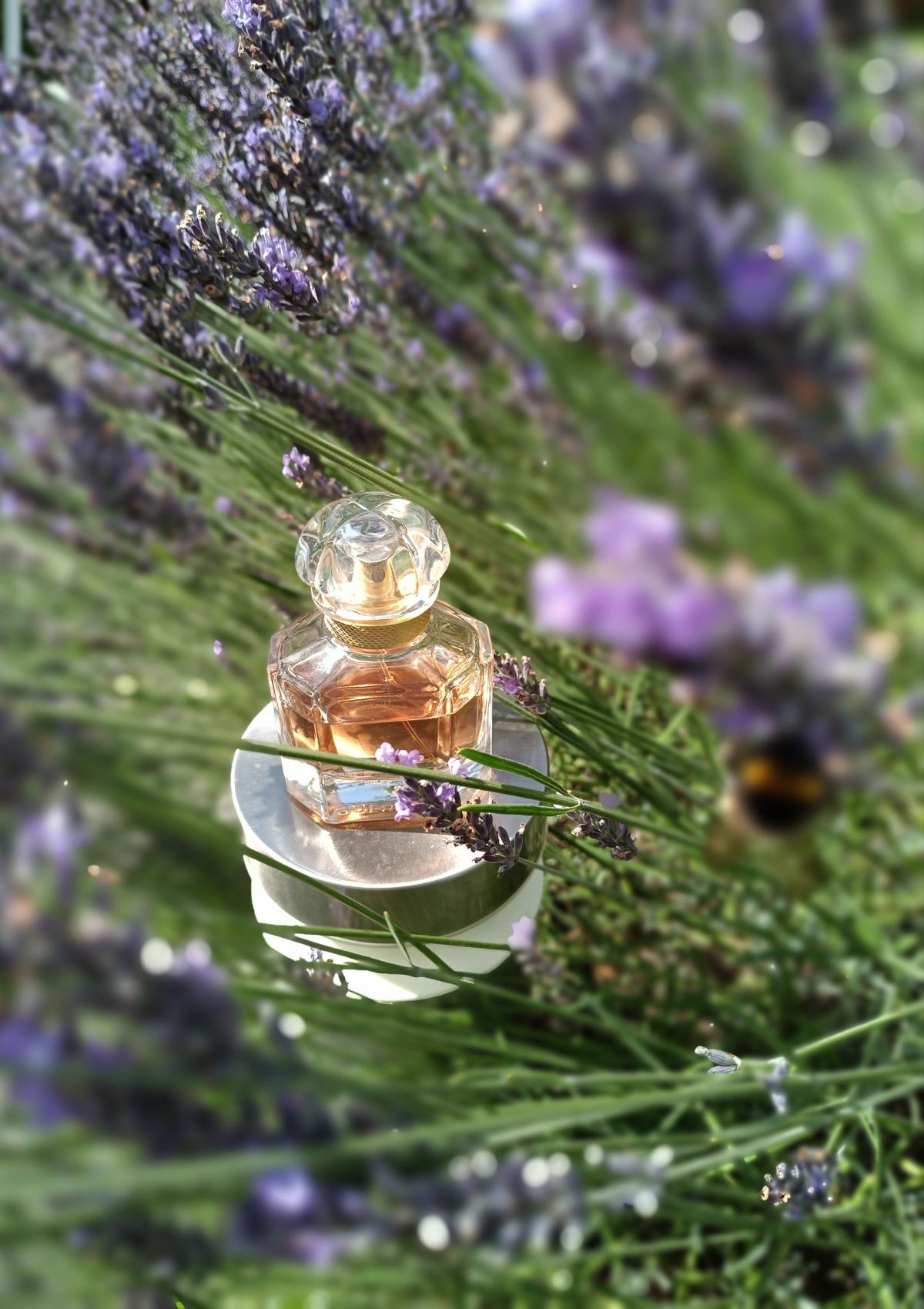 Mon Guerlain Guerlain parfem - parfem za žene 2017