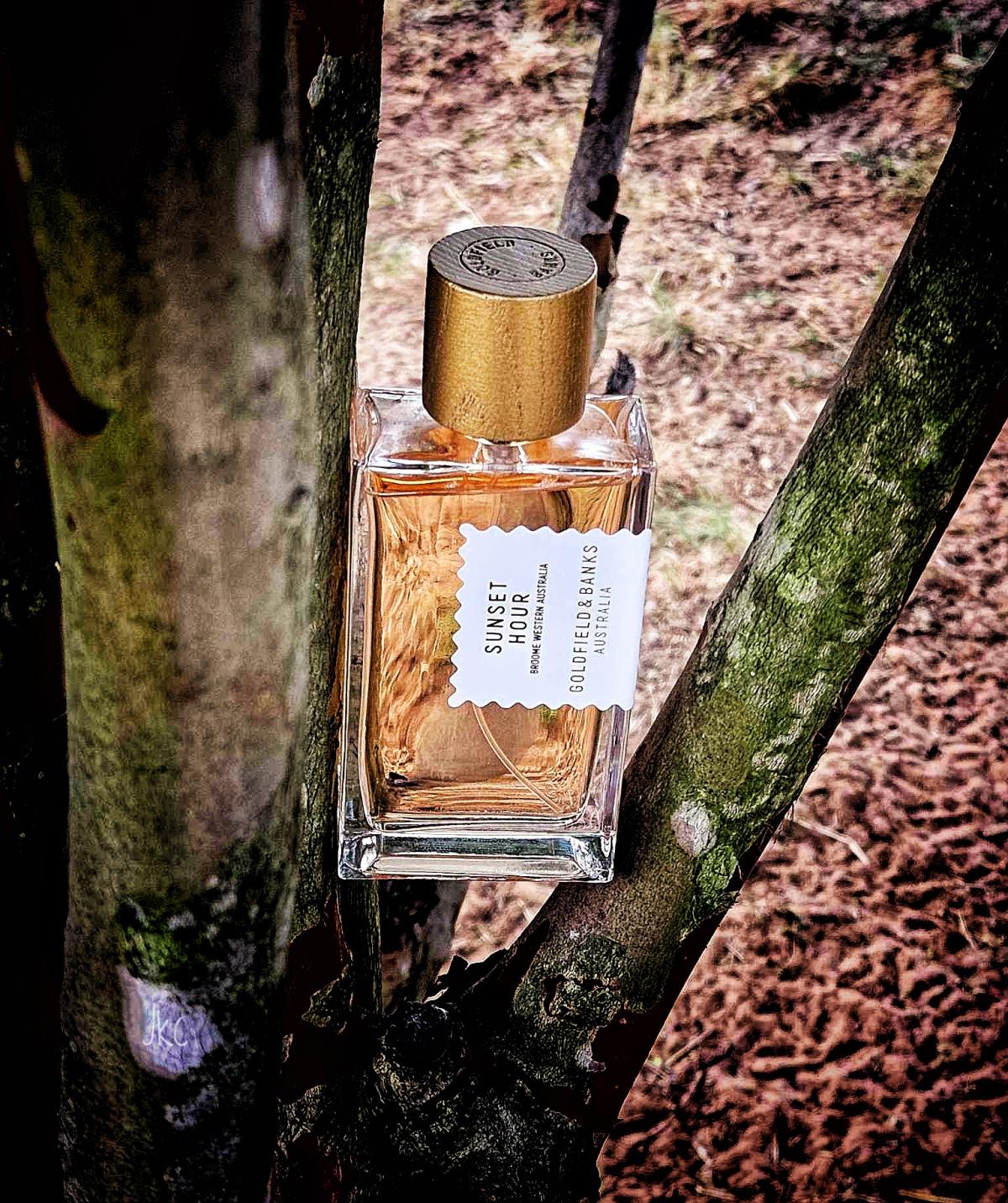 Sunset Hour Goldfield & Banks Australia fragancia - una fragancia para ...