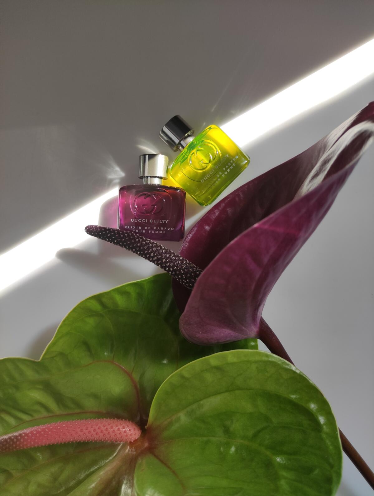 Guilty Elixir de Parfum pour Homme Gucci Colônia - a novo fragrância ...