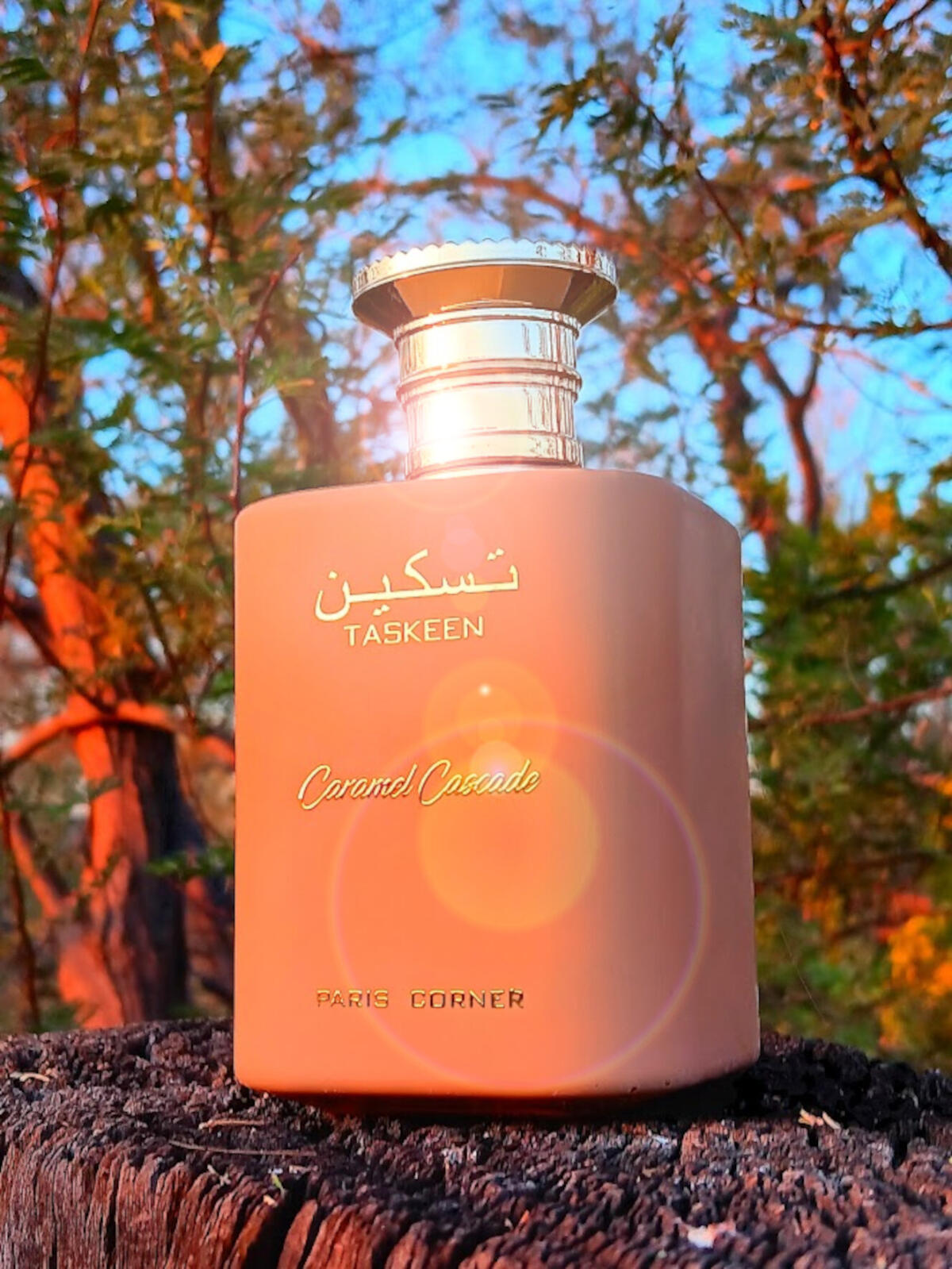 Taskeen Caramel Cascade Paris Corner perfumy - to nowe perfumy dla ...