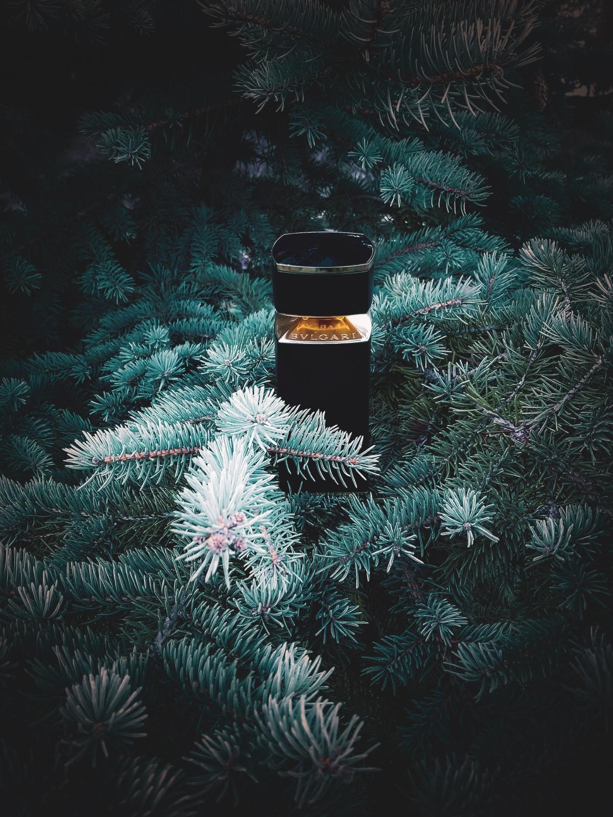 Gyan Bvlgari Cologne - ein es Parfum für Männer 2016