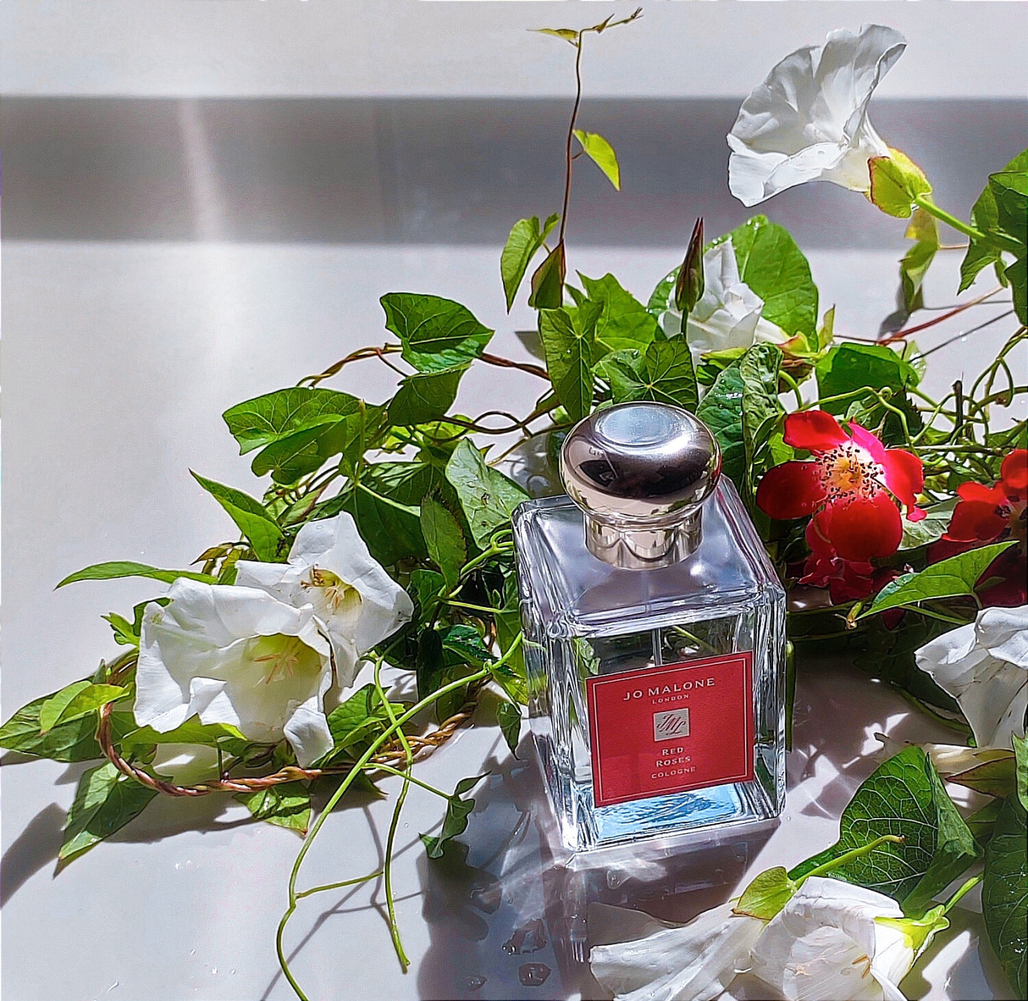 Red Roses Cologne (2023) Jo Malone London perfumy - to nowe perfumy dla ...