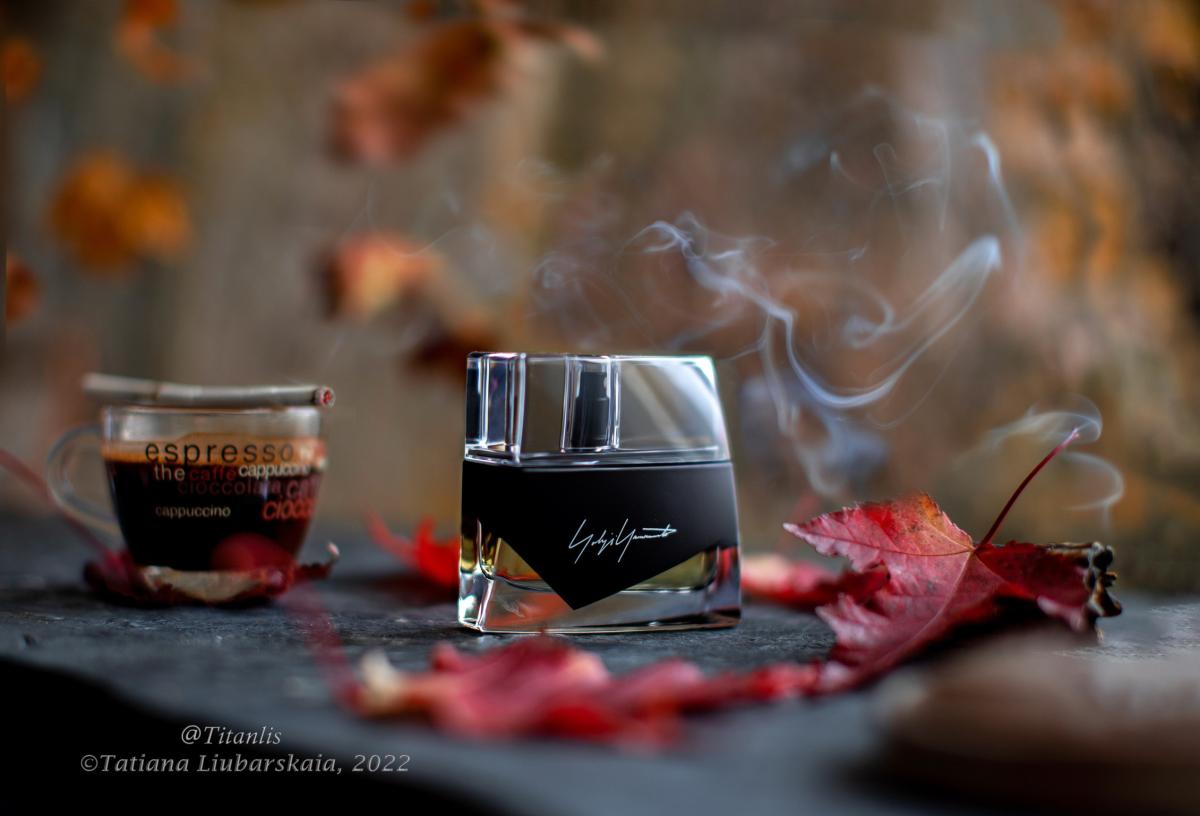 I'm Not Going to Disturb You Femme Yohji Yamamoto perfume - a ...
