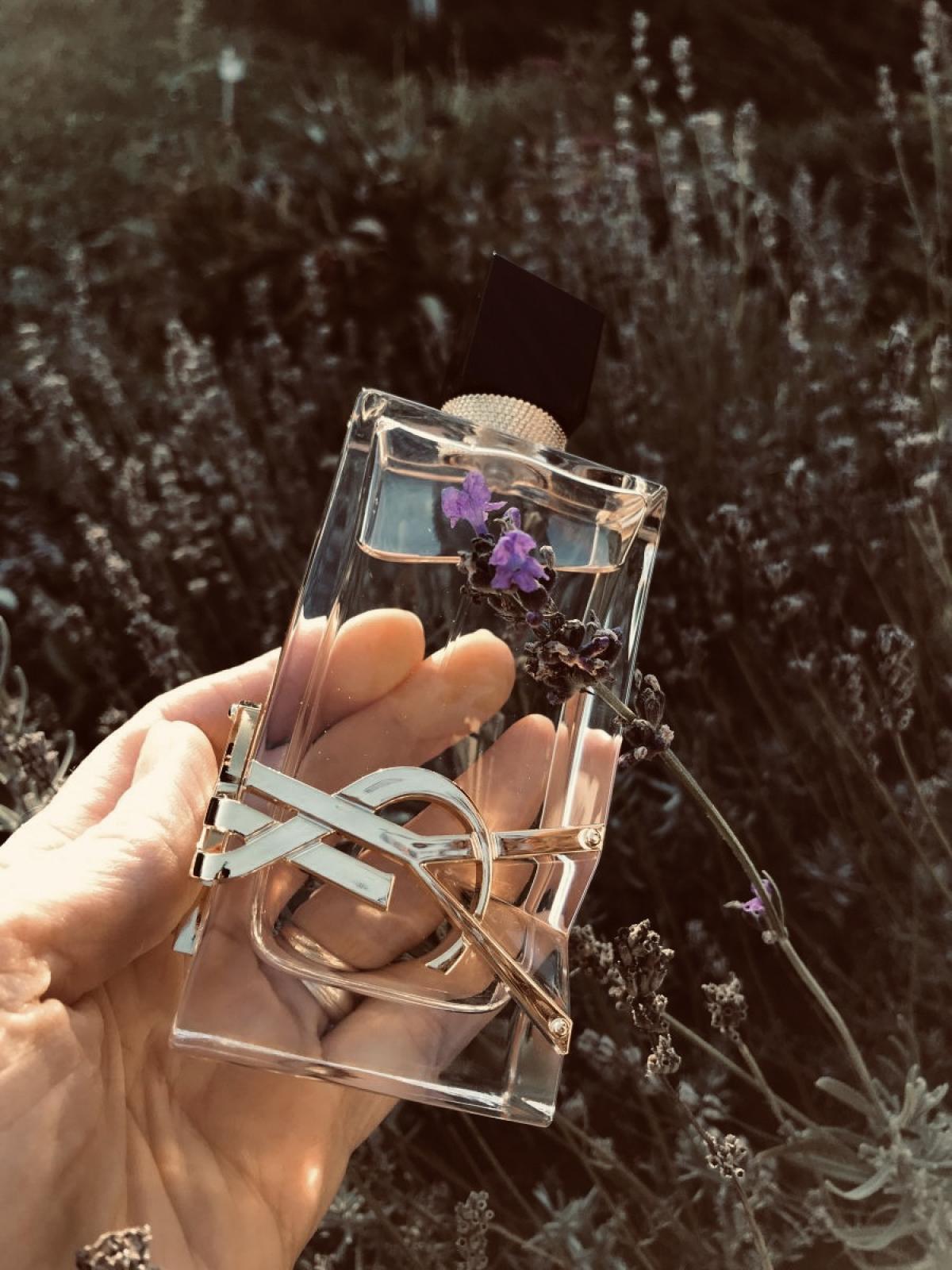 Libre Yves Saint Laurent аромат — аромат для женщин 2019