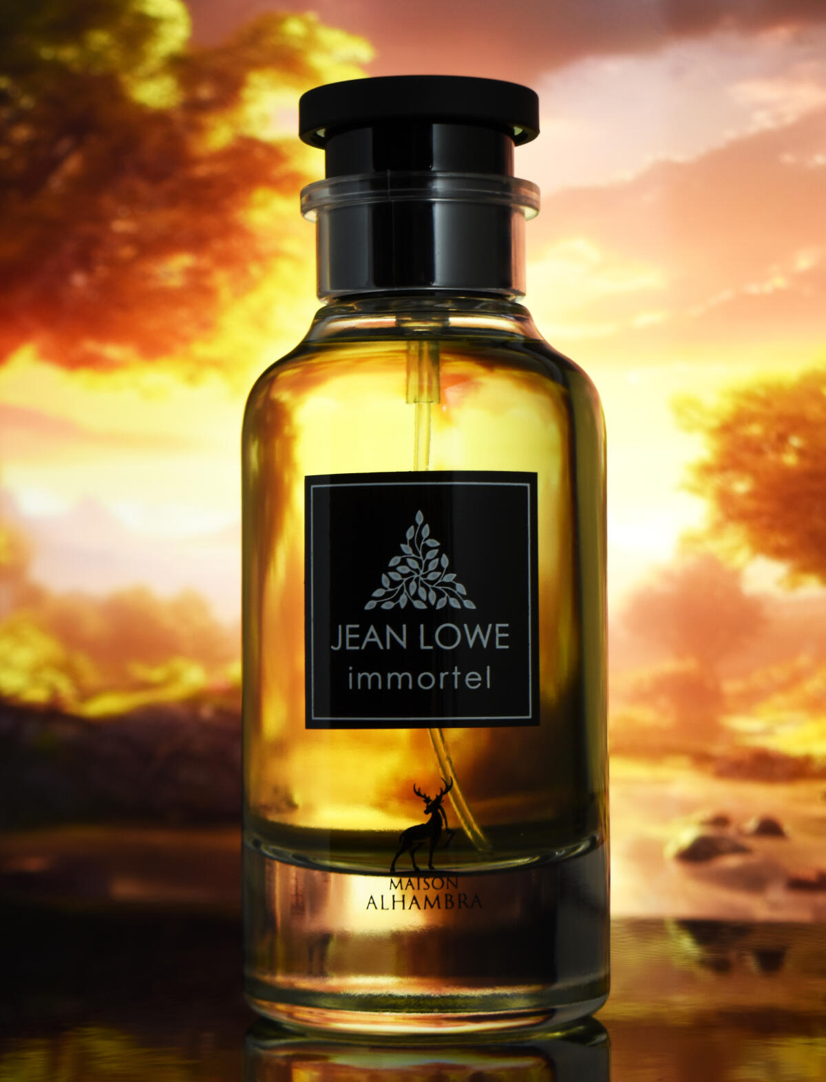 Jean Lowe Immortal Maison Alhambra zapach - to nowe perfumy dla ...