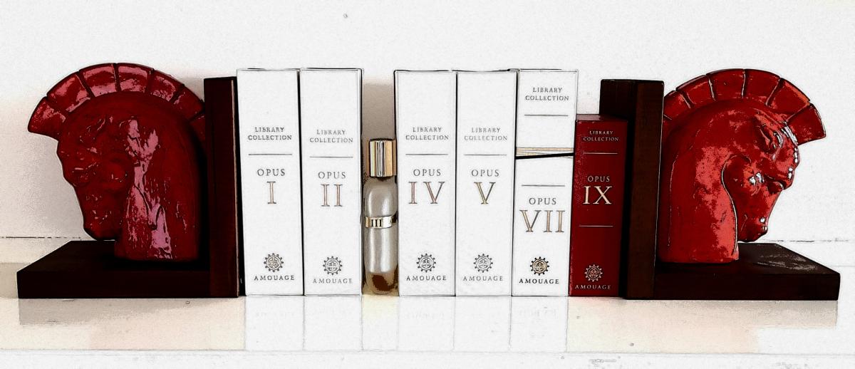The Library Collection Opus VII Amouage parfum - een geur voor dames en ...