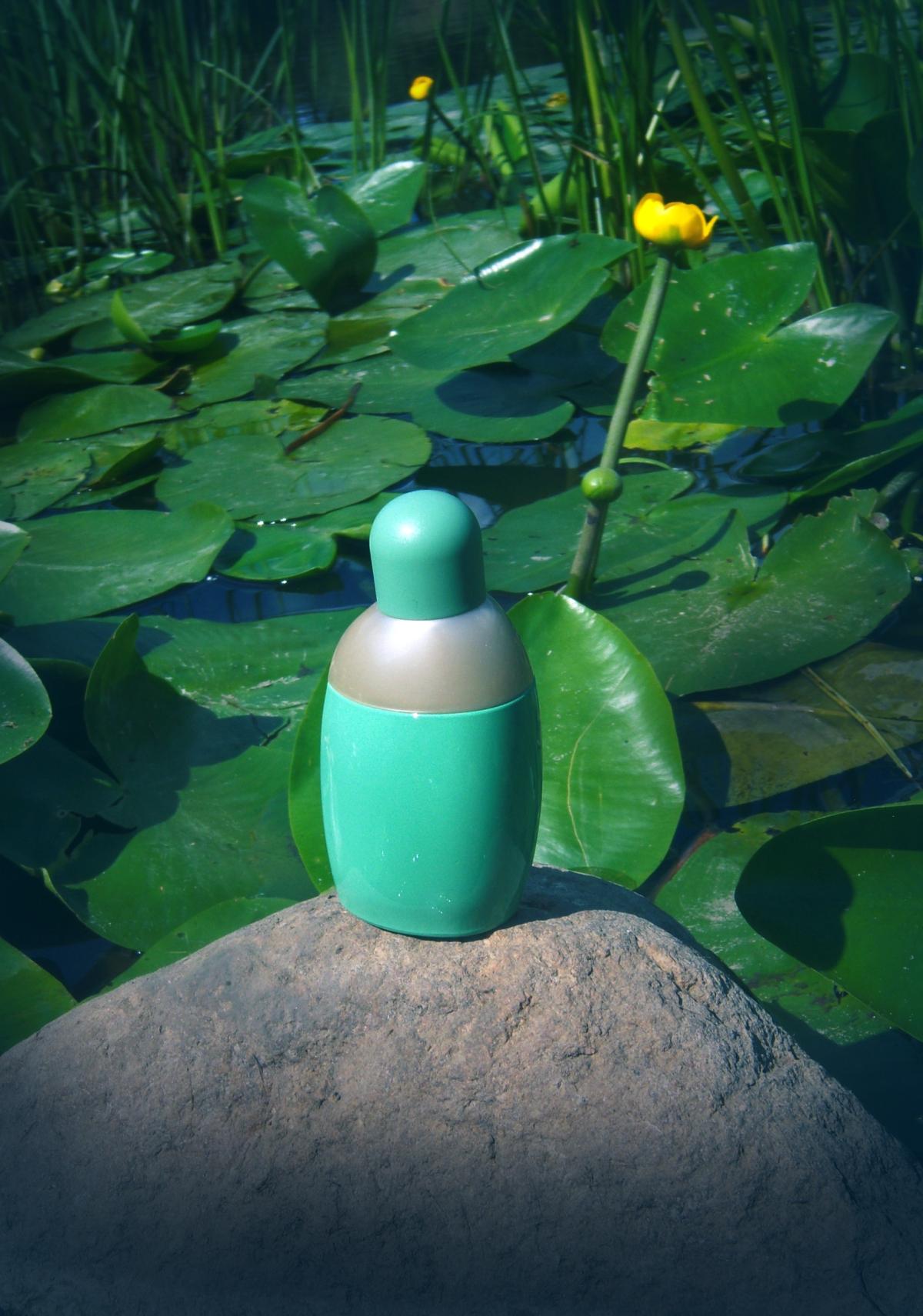 Eden Cacharel perfume - a fragrância Feminino 1994