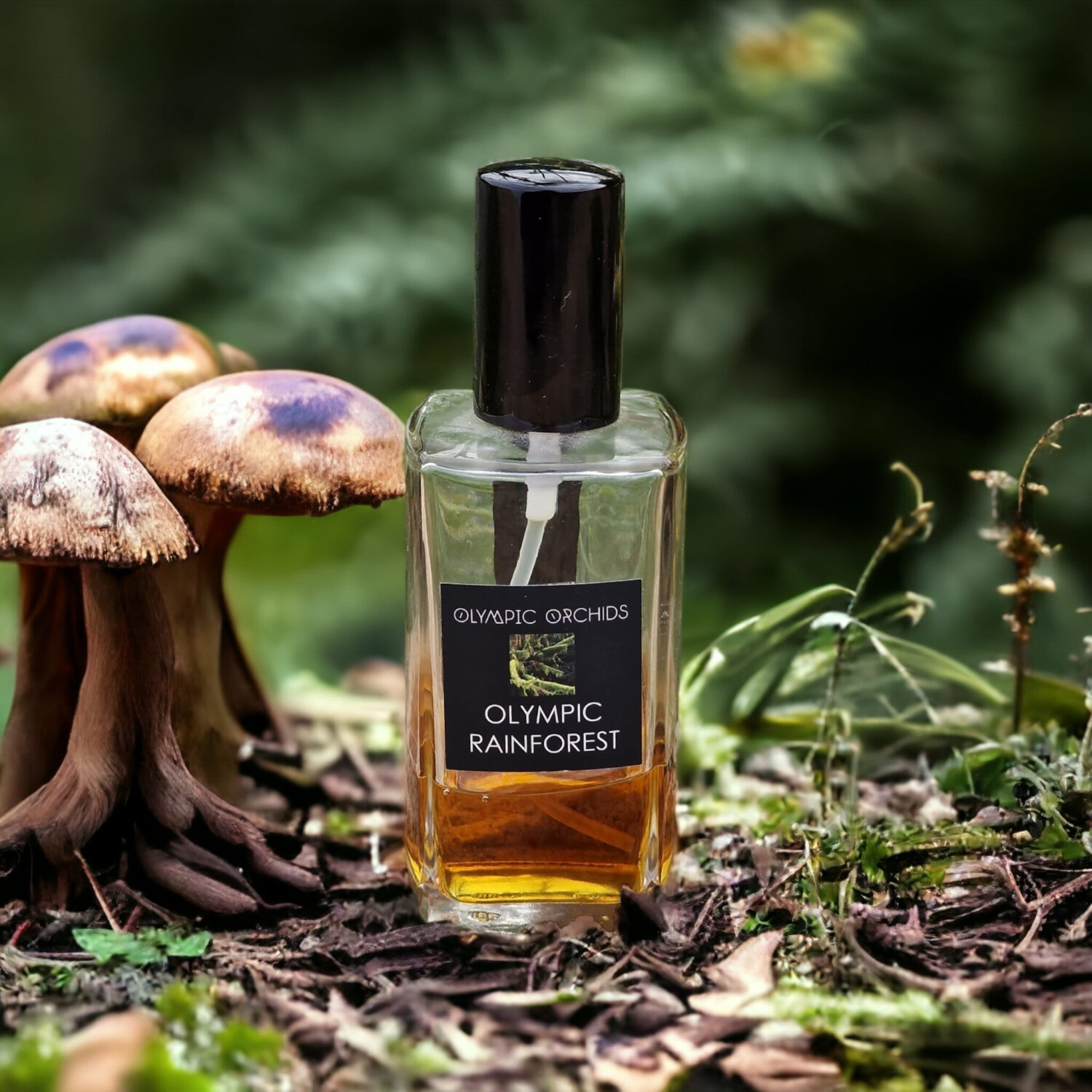 Olympic Rainforest Olympic Orchids Artisan Perfumes аромат — аромат для ...