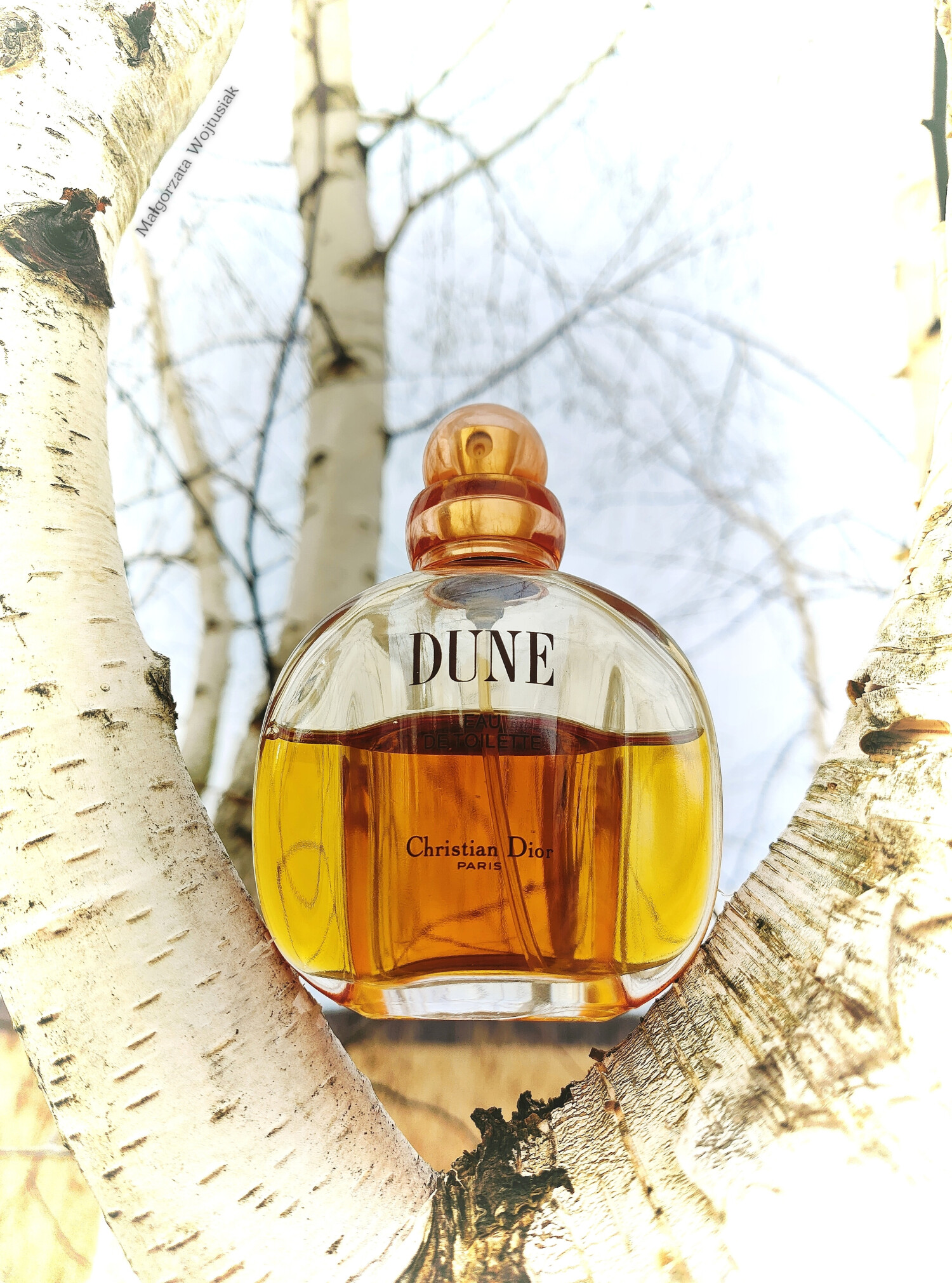 Dune Dior perfume - a fragrância Feminino 1991