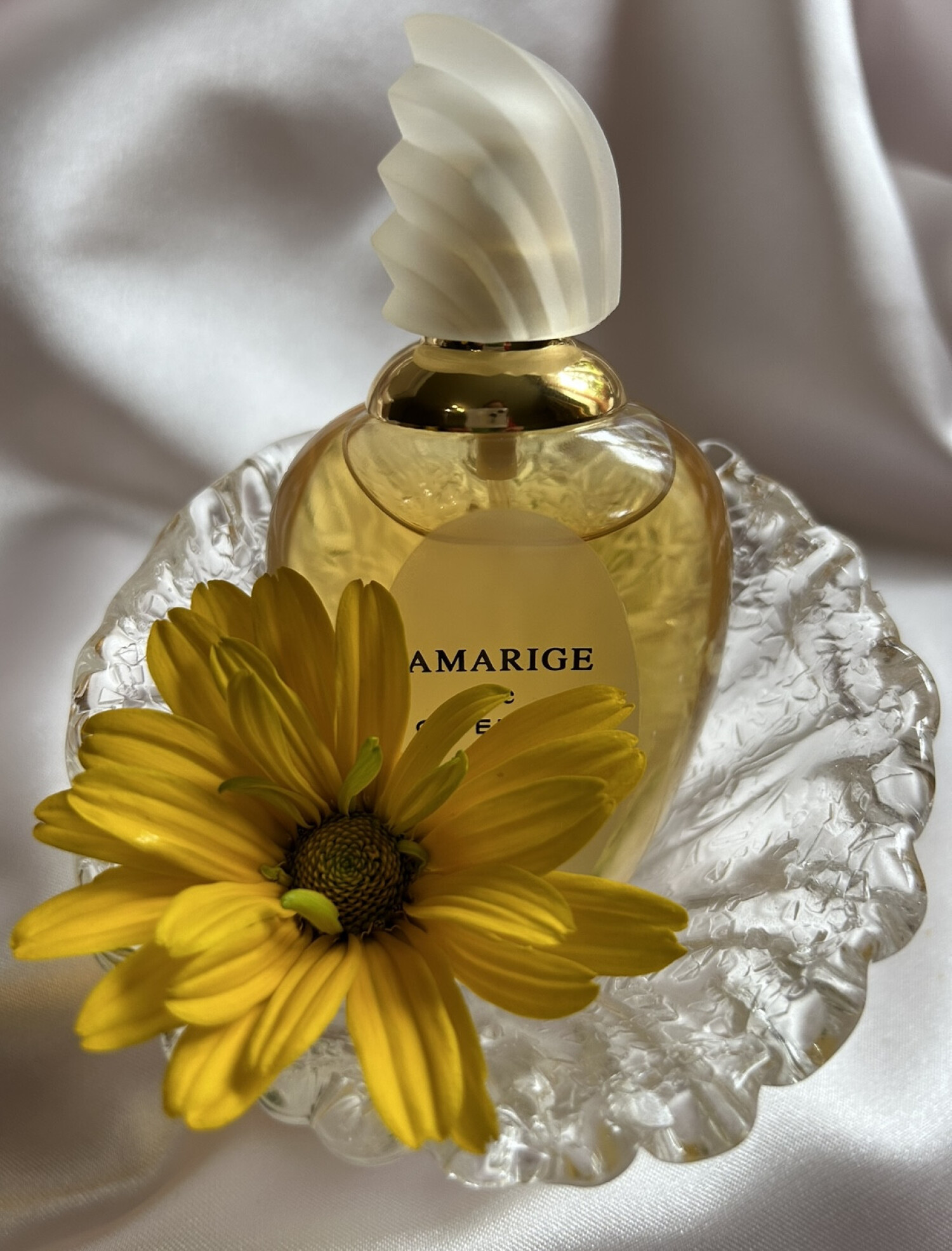 Amarige Givenchy perfume - a fragrância Feminino 1991