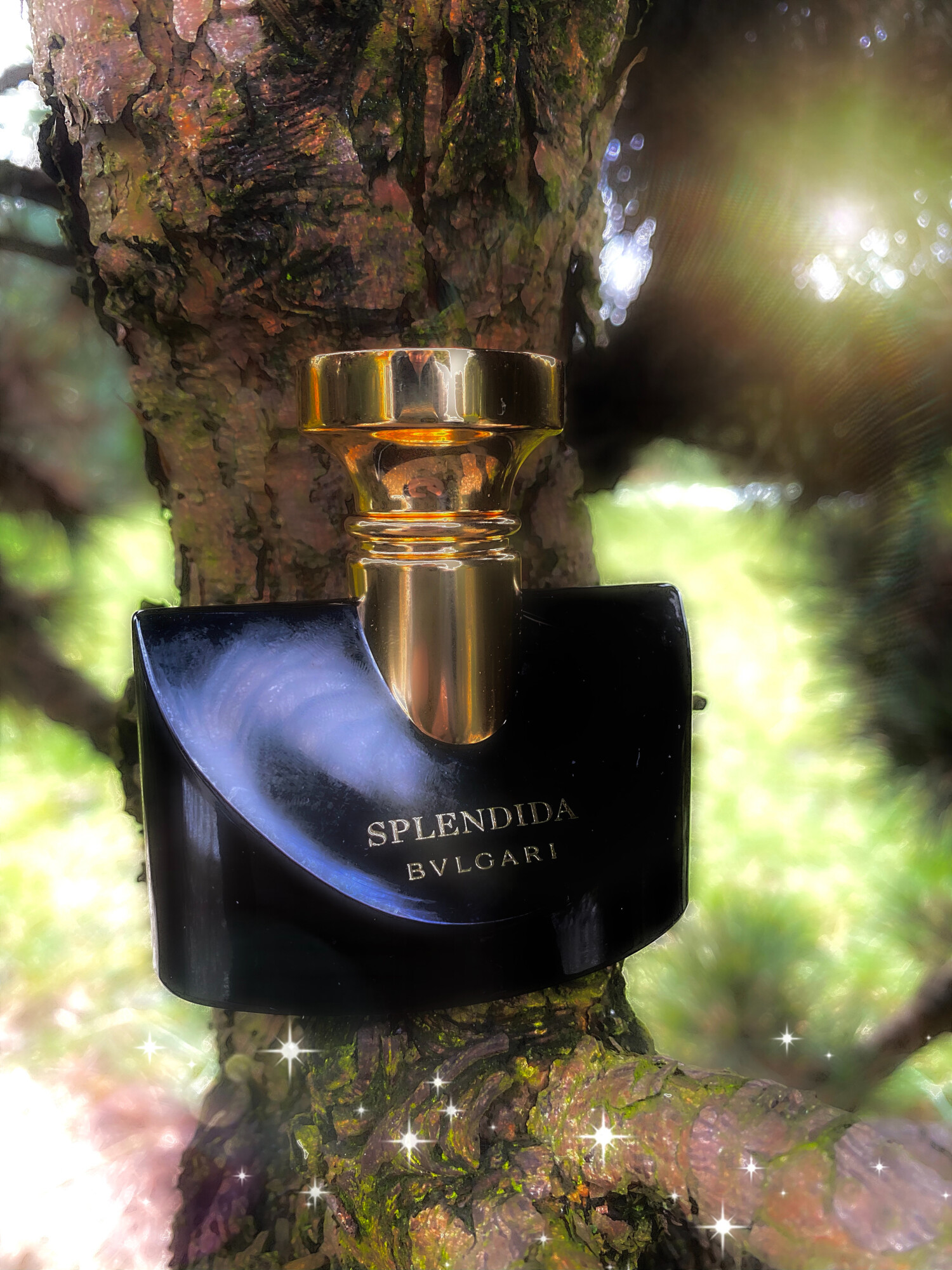 Splendida Jasmin Noir Bvlgari perfume - a fragrância Feminino 2017