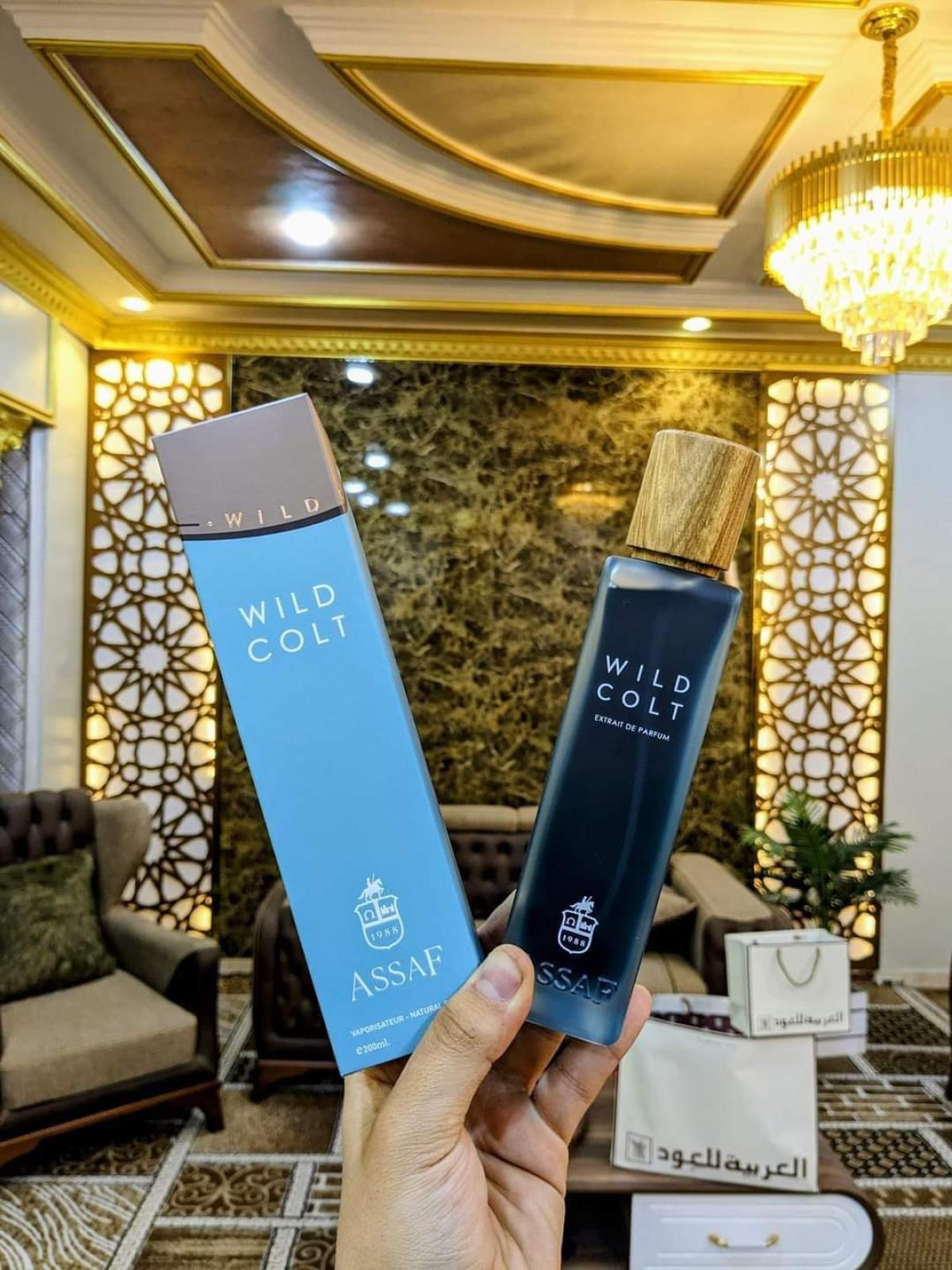 Wild Colt Assaf parfum - un nouveau parfum pour homme et femme 2022