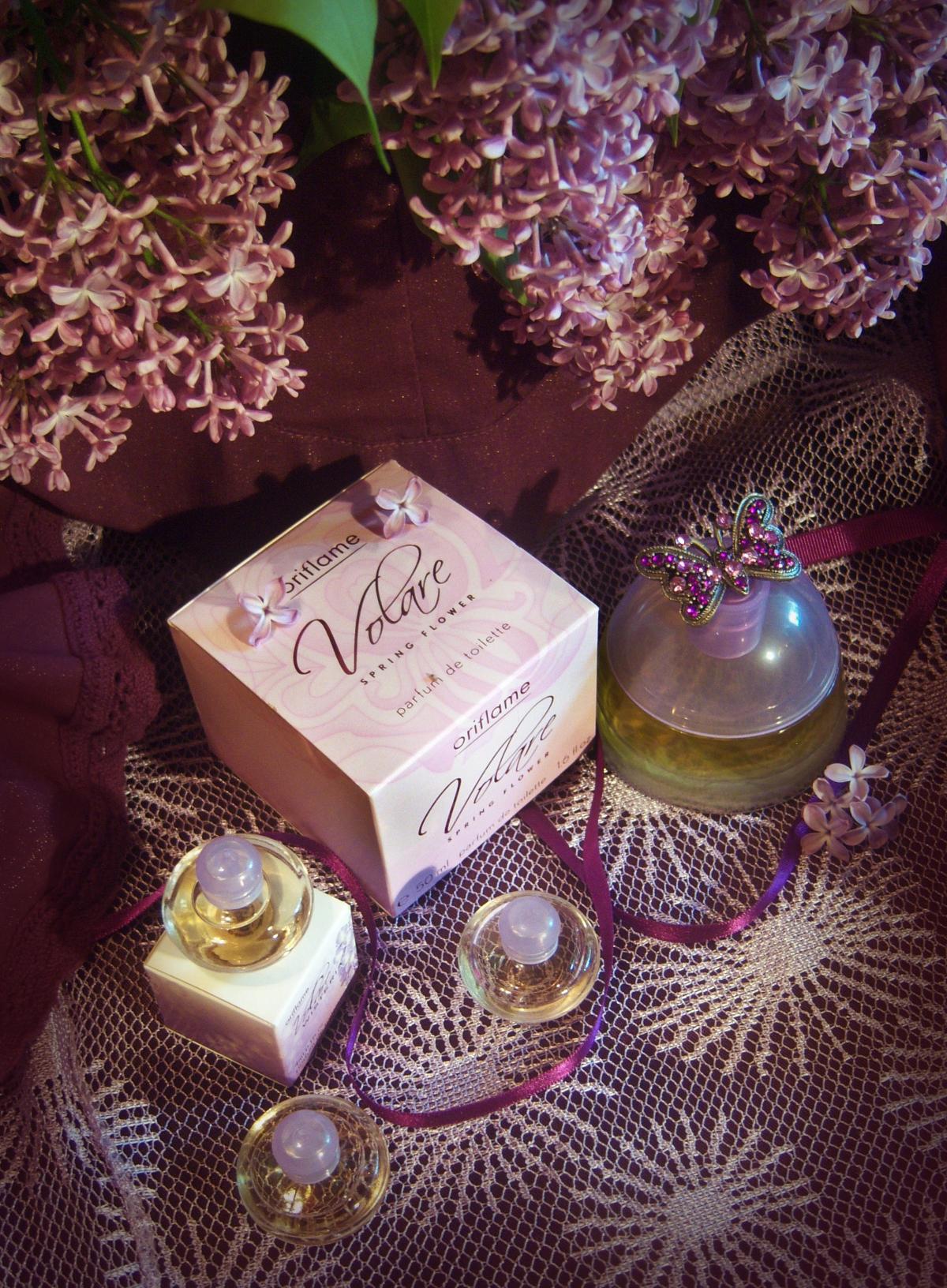 Volare Wisteria Oriflame parfum - un parfum pour femme 2010
