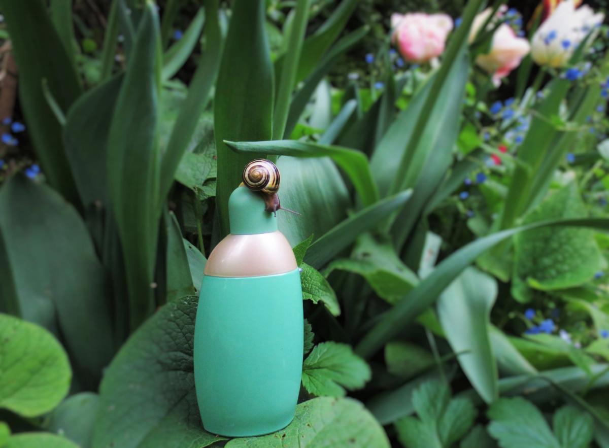 Eden Cacharel perfume - a fragrância Feminino 1994