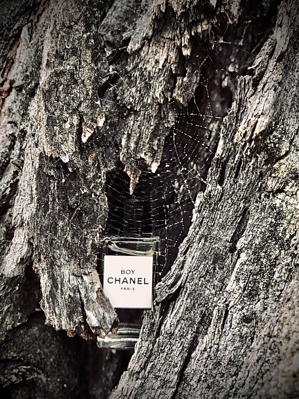 Boy Eau de Parfum Chanel parfum - un parfum pour homme et femme 2016