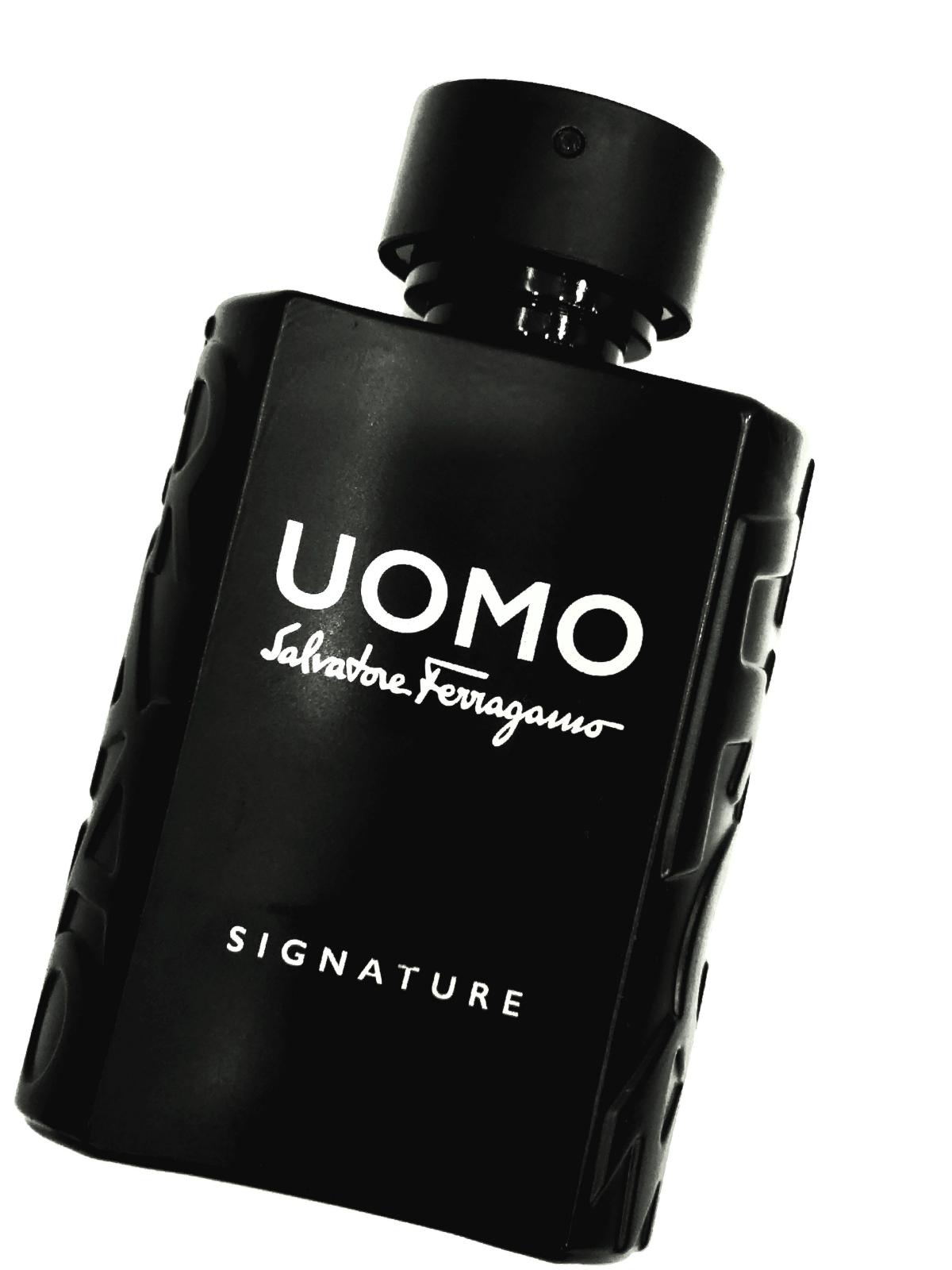 Uomo Salvatore Ferragamo Signature Salvatore Ferragamo Kolonjska voda ...