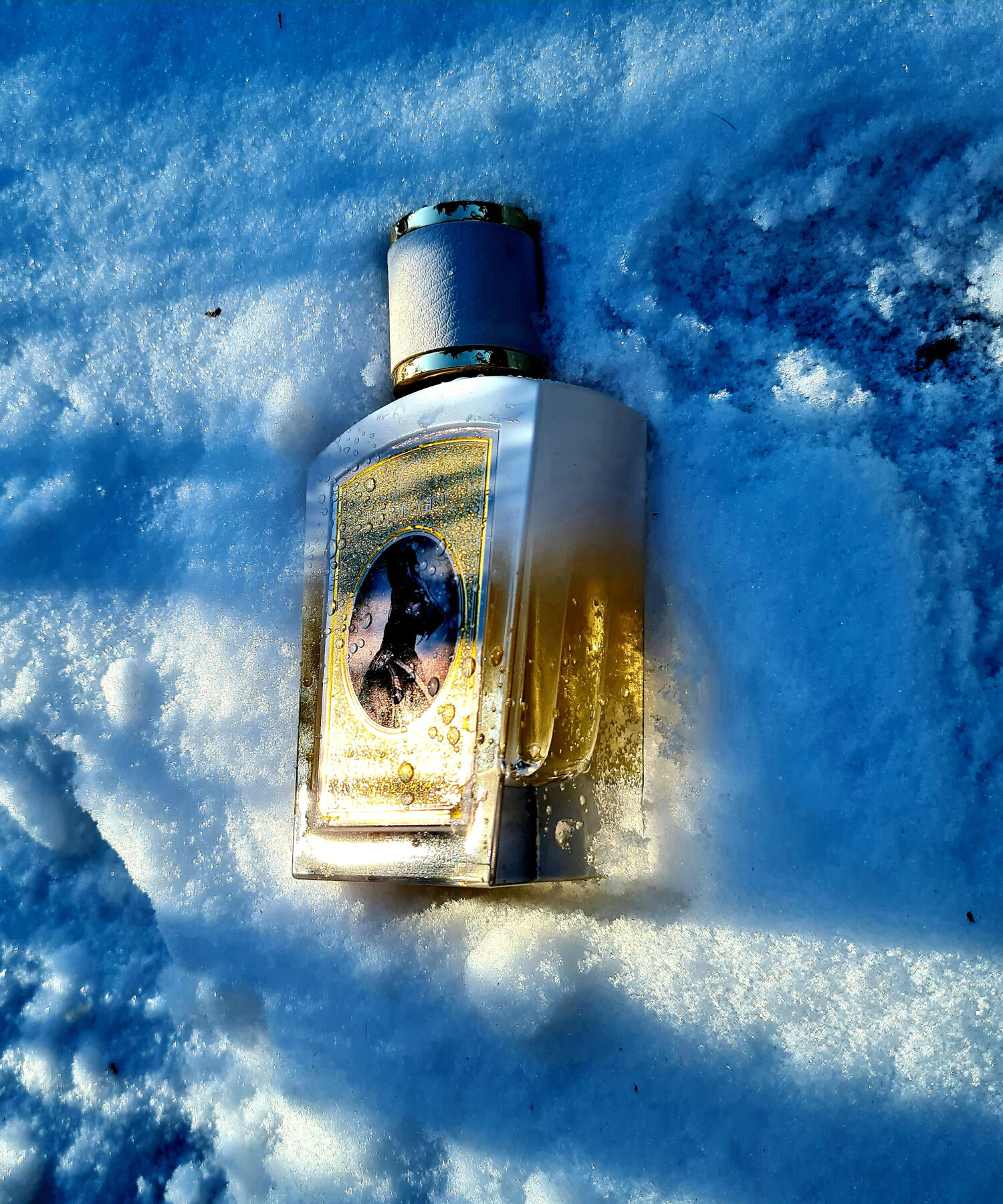 Musk Deer Zoologist Perfumes parfum - un parfum pour homme et femme 2020
