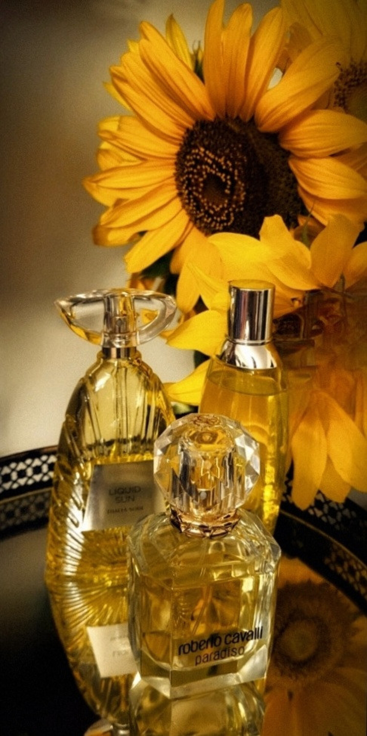 Liquid Sun Thalia Sodi perfume - a fragrância Feminino 2019