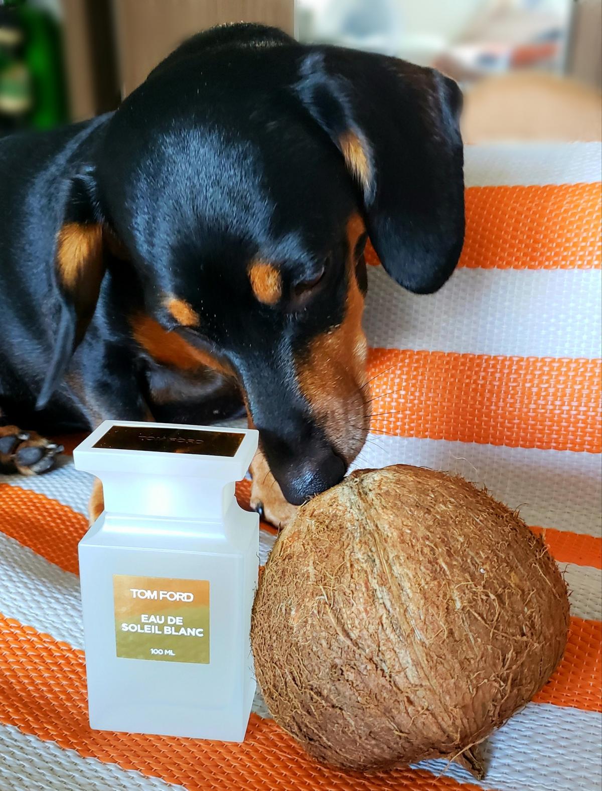 Eau de Soleil Blanc Tom Ford parfem - parfem za žene i muškarce 2018