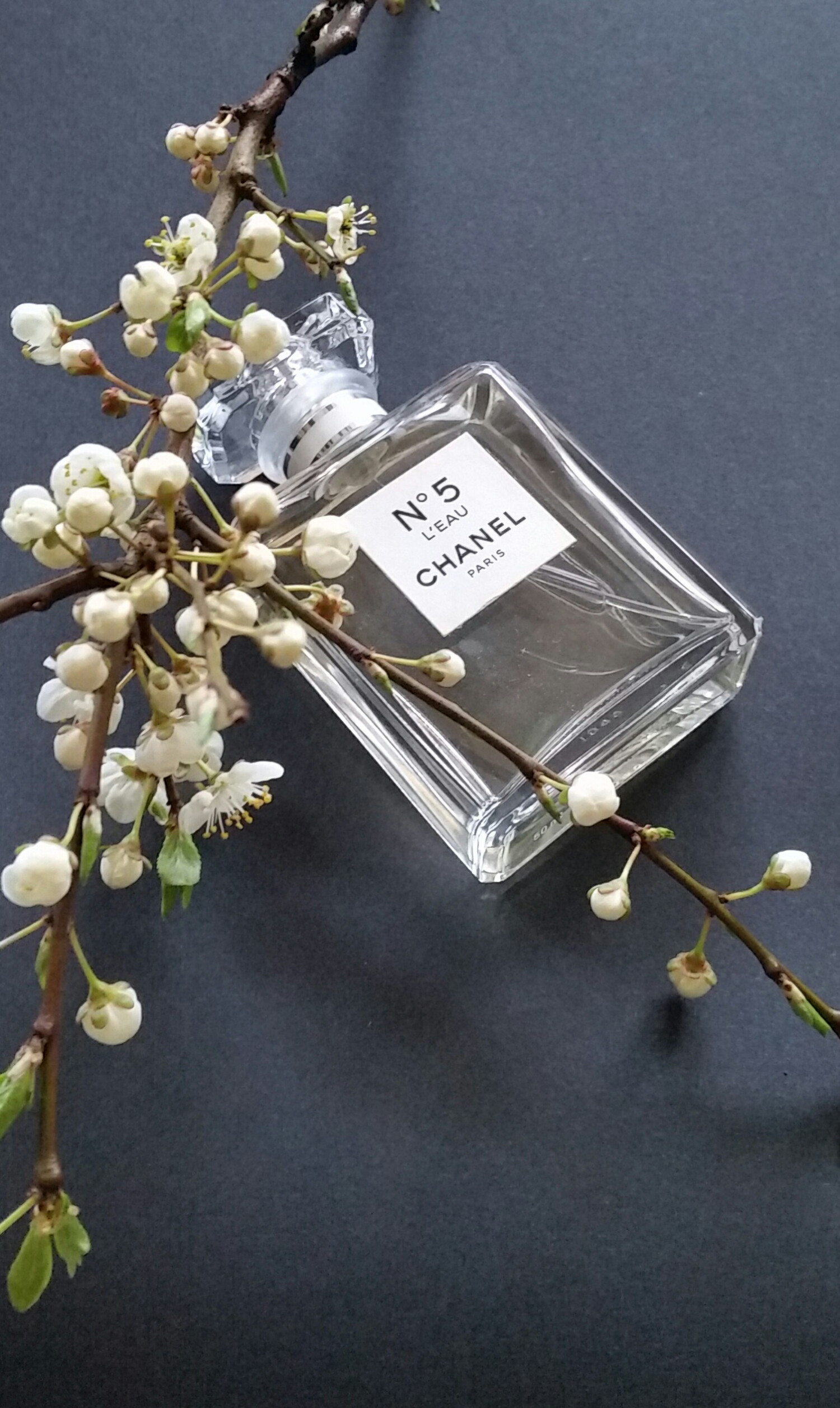 Chanel No 5 L'Eau Chanel parfem - parfem za žene 2016