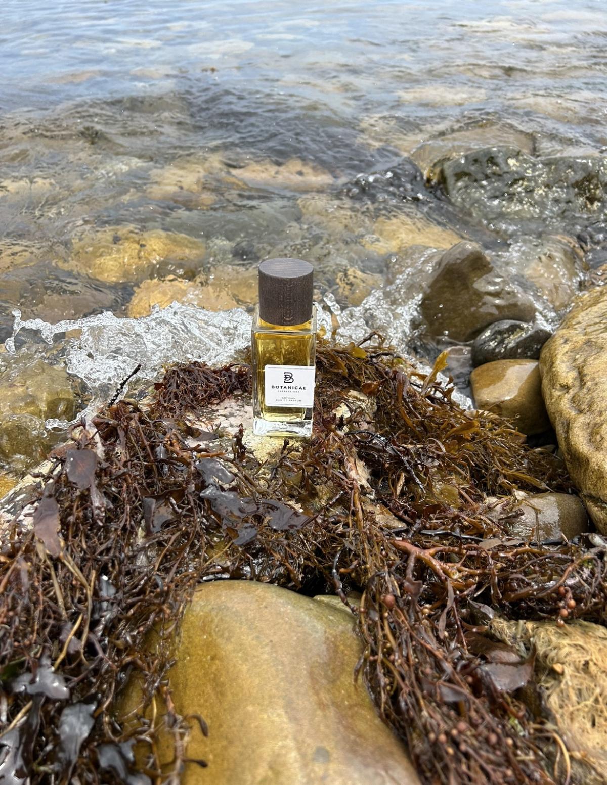 Matin a Mogador Botanicae - una fragranza unisex 2019