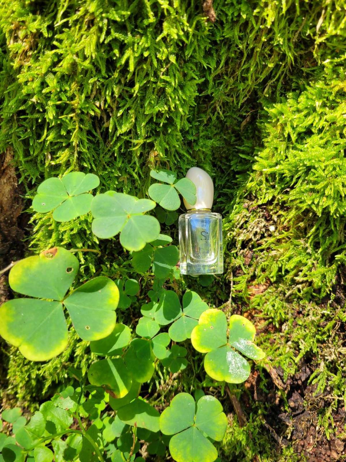Si Eau de Toilette Giorgio Armani аромат — аромат для женщин 2015