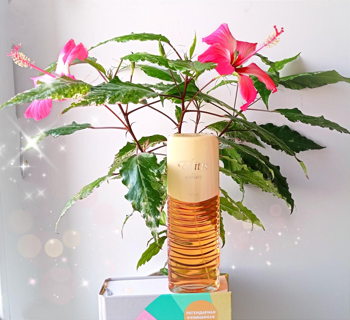 Elitis Lomani Parfum - ein es Parfum für Frauen