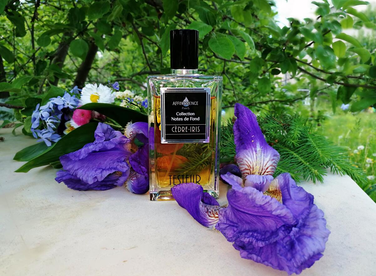 Cedrè Iris Affinessence сүрчиг - a сүрчиг эрэгтэй эмэгтэй 2015