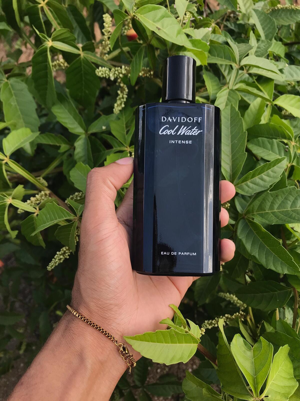 Cool Water Intense Davidoff Colônia - a fragrância Masculino 2019