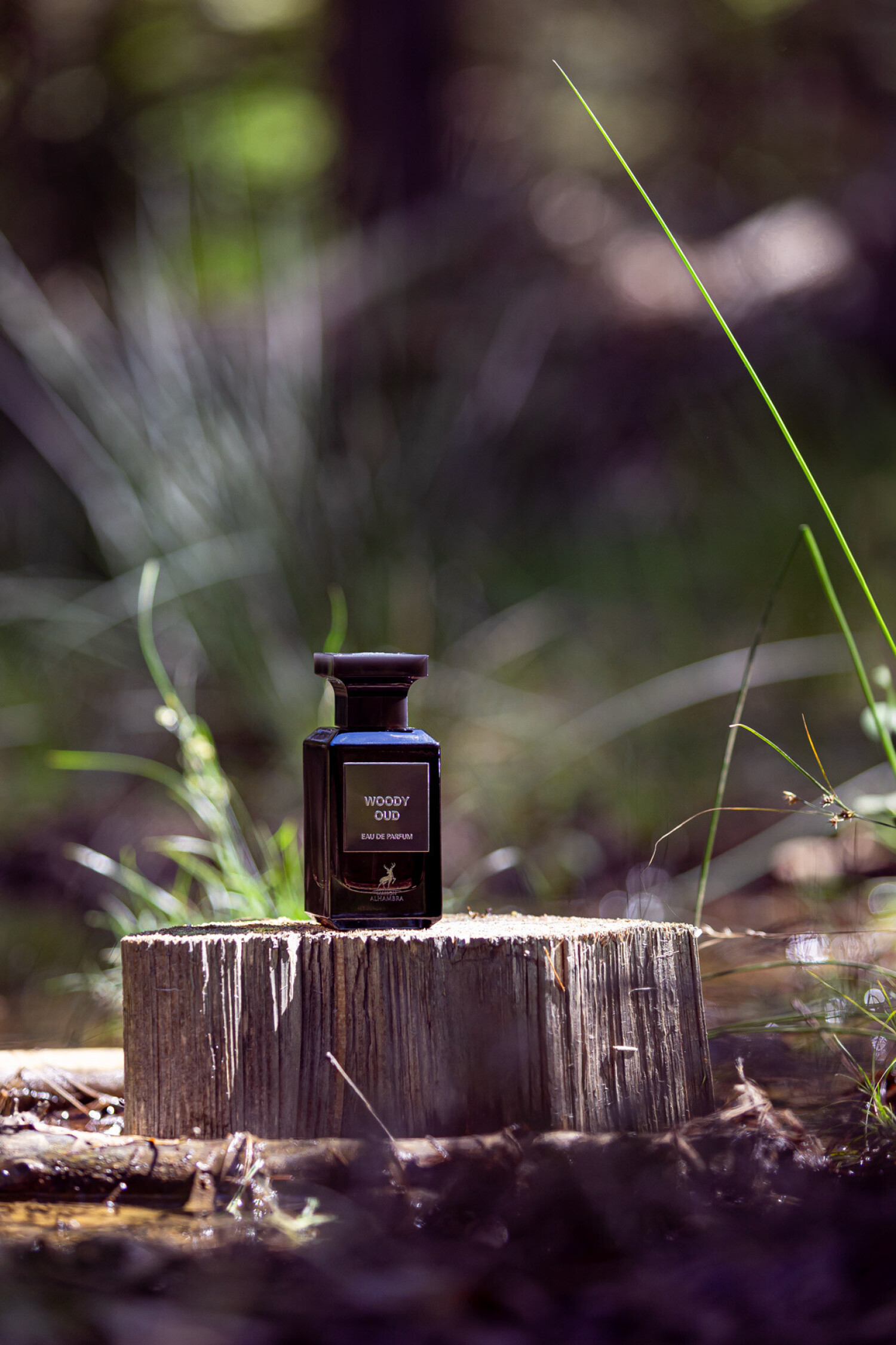 Woody Oud Maison Alhambra perfume - a fragrância Compartilhável