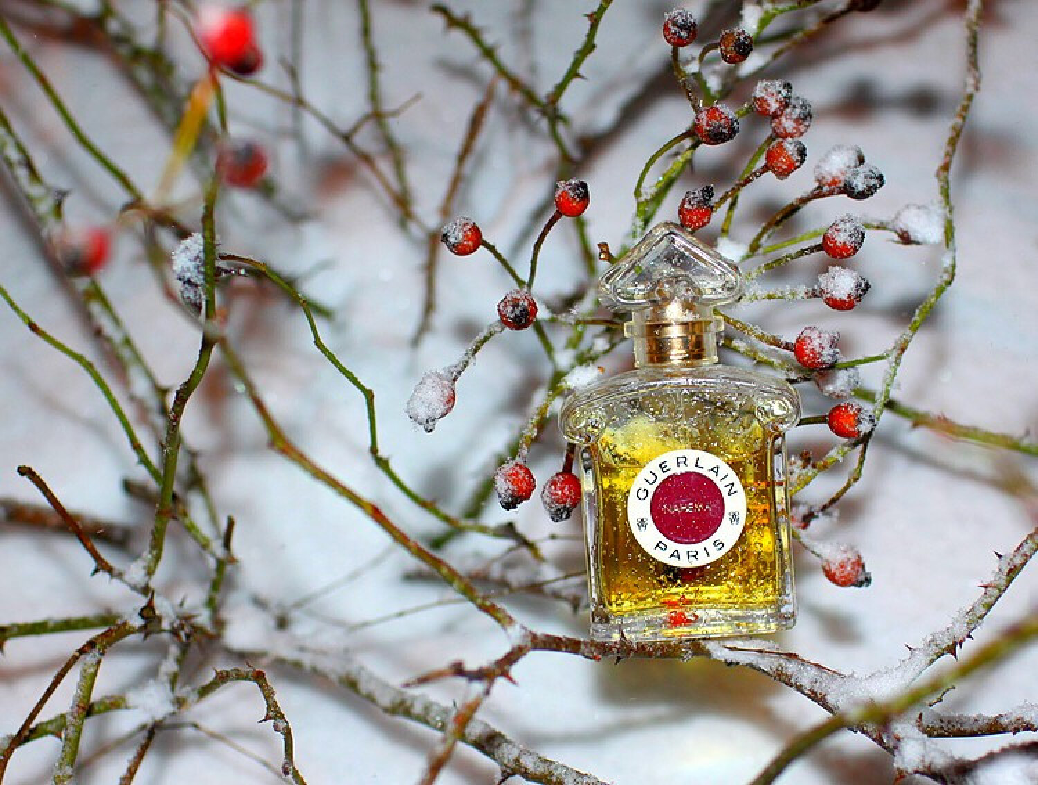 Nahema Eau de Parfum Guerlain fragancia - una fragancia para Mujeres 2021