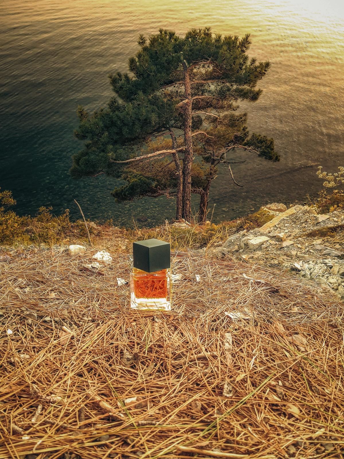 M7 Yves Saint Laurent Cologne - un parfum pour homme 2002