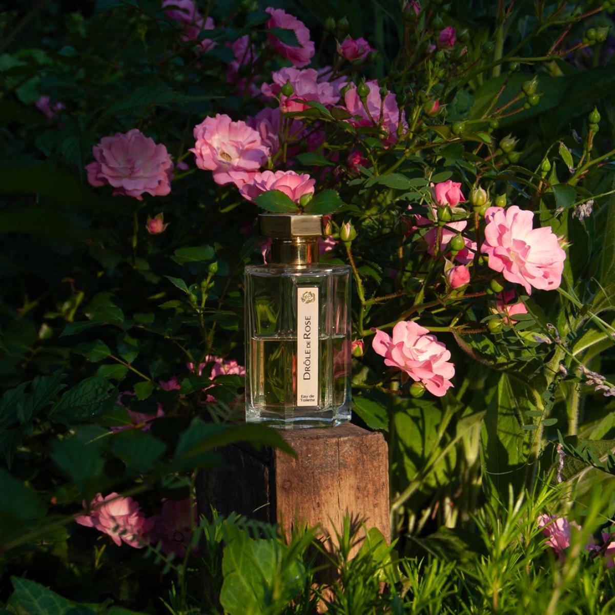 Drôle de Rose L'Artisan Parfumeur parfém - a vůně pro ženy a muže 1996