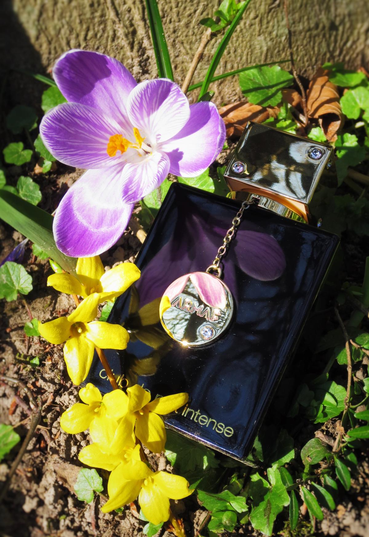 Club de Nuit Intense Armaf fragancia - una fragancia para Mujeres