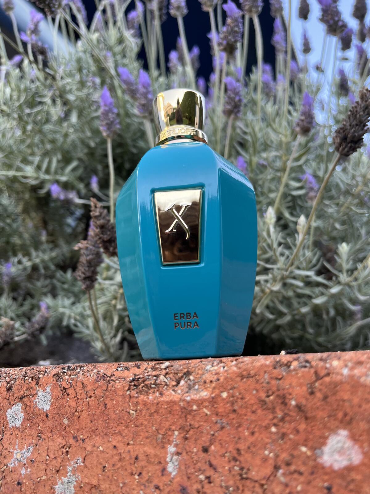 Erba Pura Xerjoff Parfum - ein es Parfum für Frauen und Männer 2019