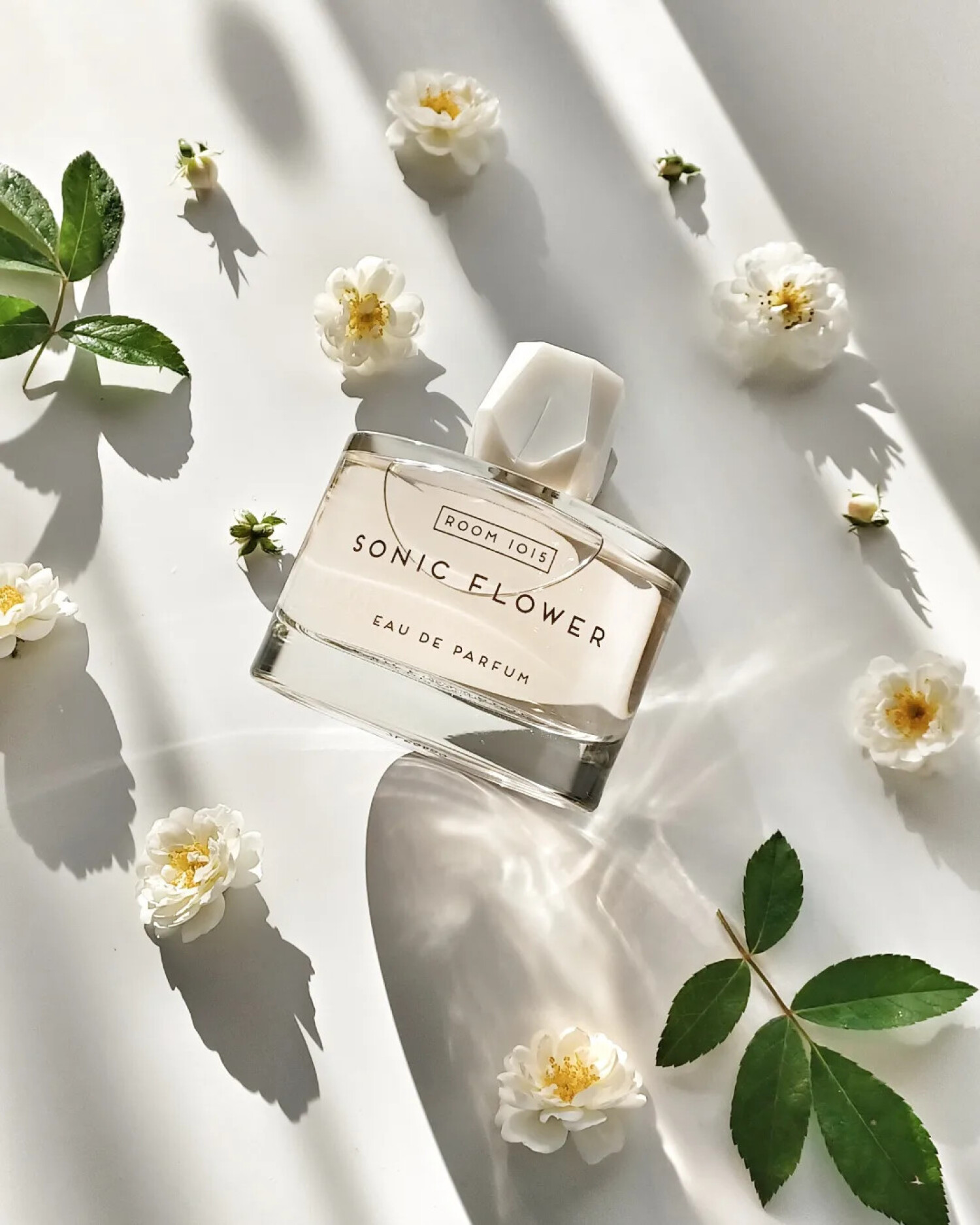Sonic Flower Room 1015 perfume - a novo fragrância Compartilhável 2023