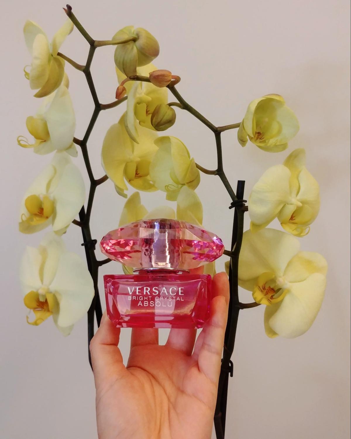 Bright Crystal Absolu Versace parfum - un parfum pour femme 2013