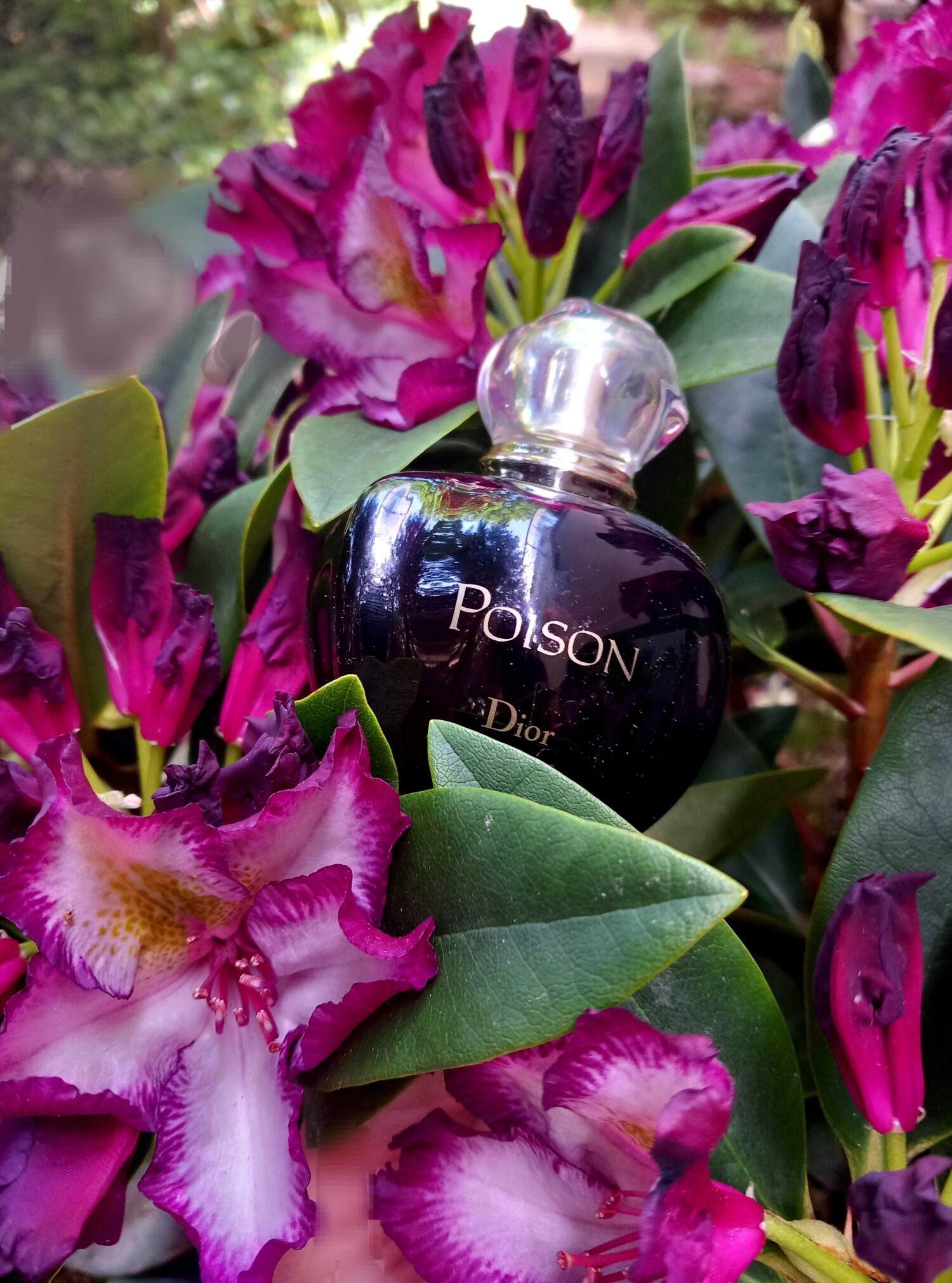 Poison Dior parfum - een geur voor dames 1985