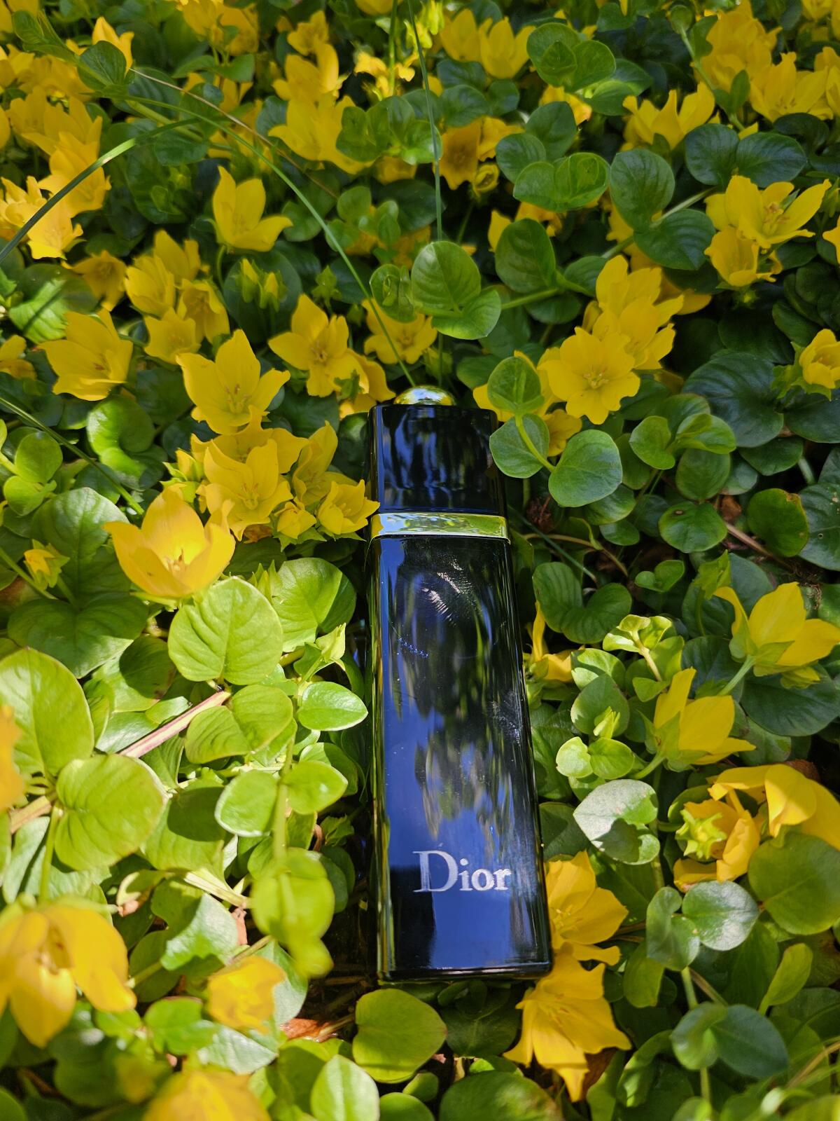 Dior Addict Dior perfume - a fragrância Feminino 2002