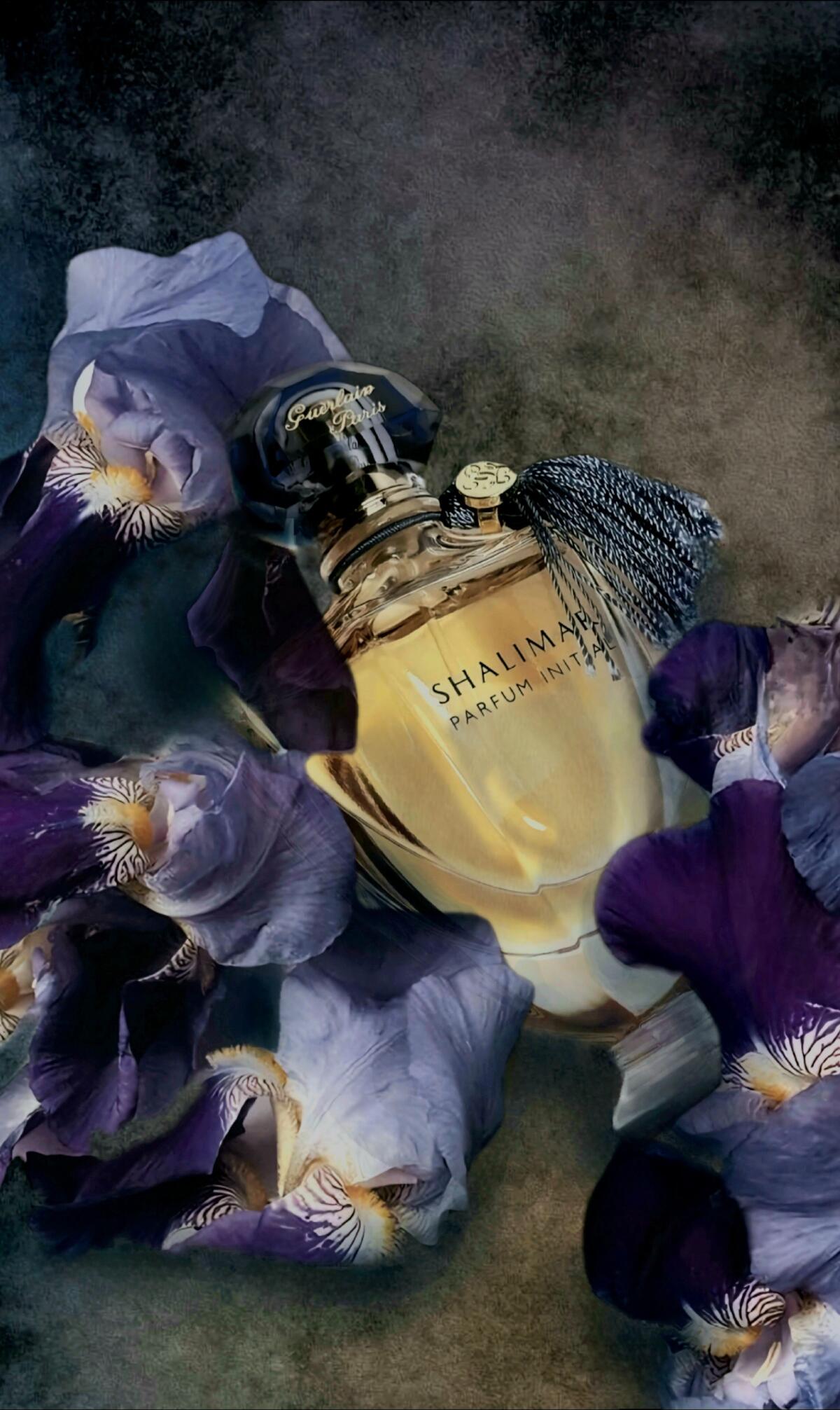Shalimar Parfum Initial Guerlain fragancia - una fragancia para Mujeres ...
