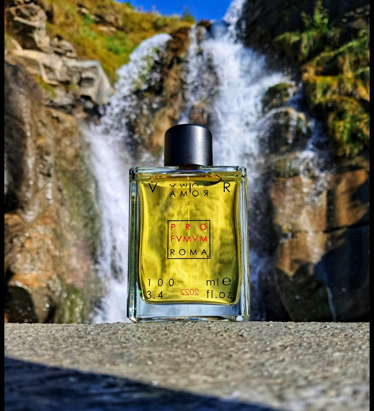 Vir Profumum Roma perfume - a novo fragrância Compartilhável 2022