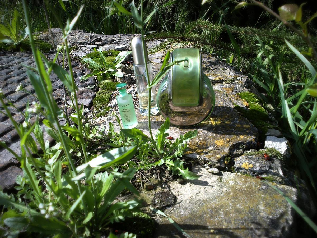 Spring Fever Origins 香水 - 一款 1995年 女用 香水