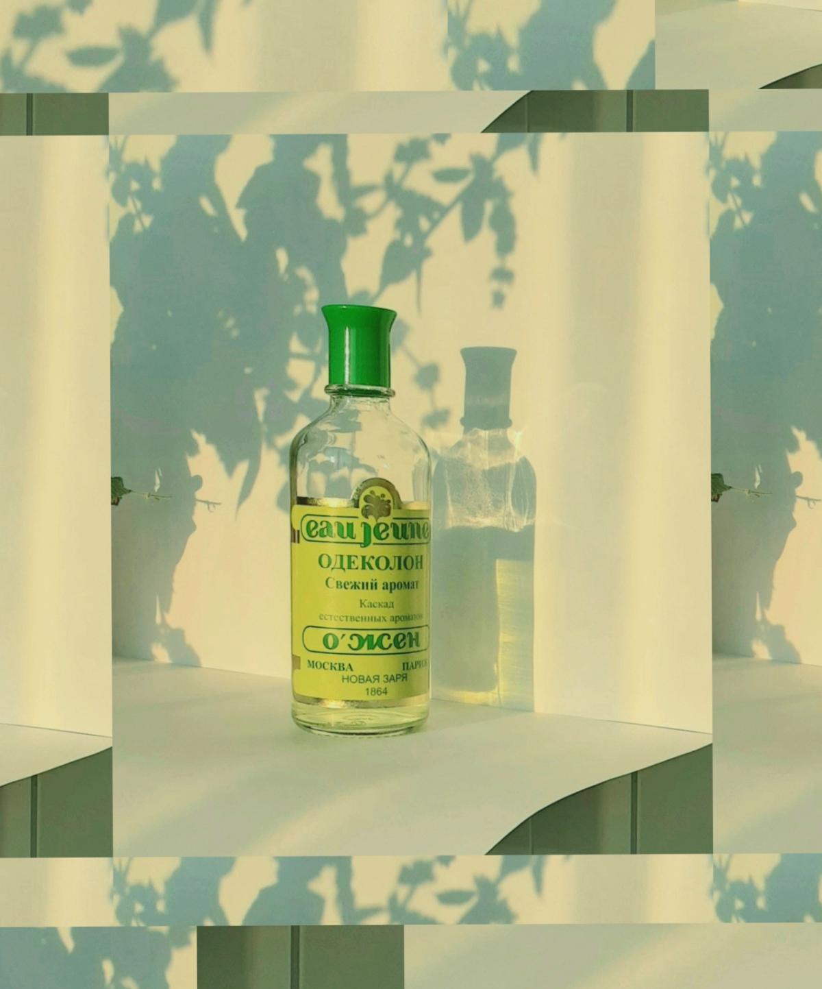 О Жен (Eau Jeune) Новая Заря (The New Dawn) Cologne - un parfum pour ...