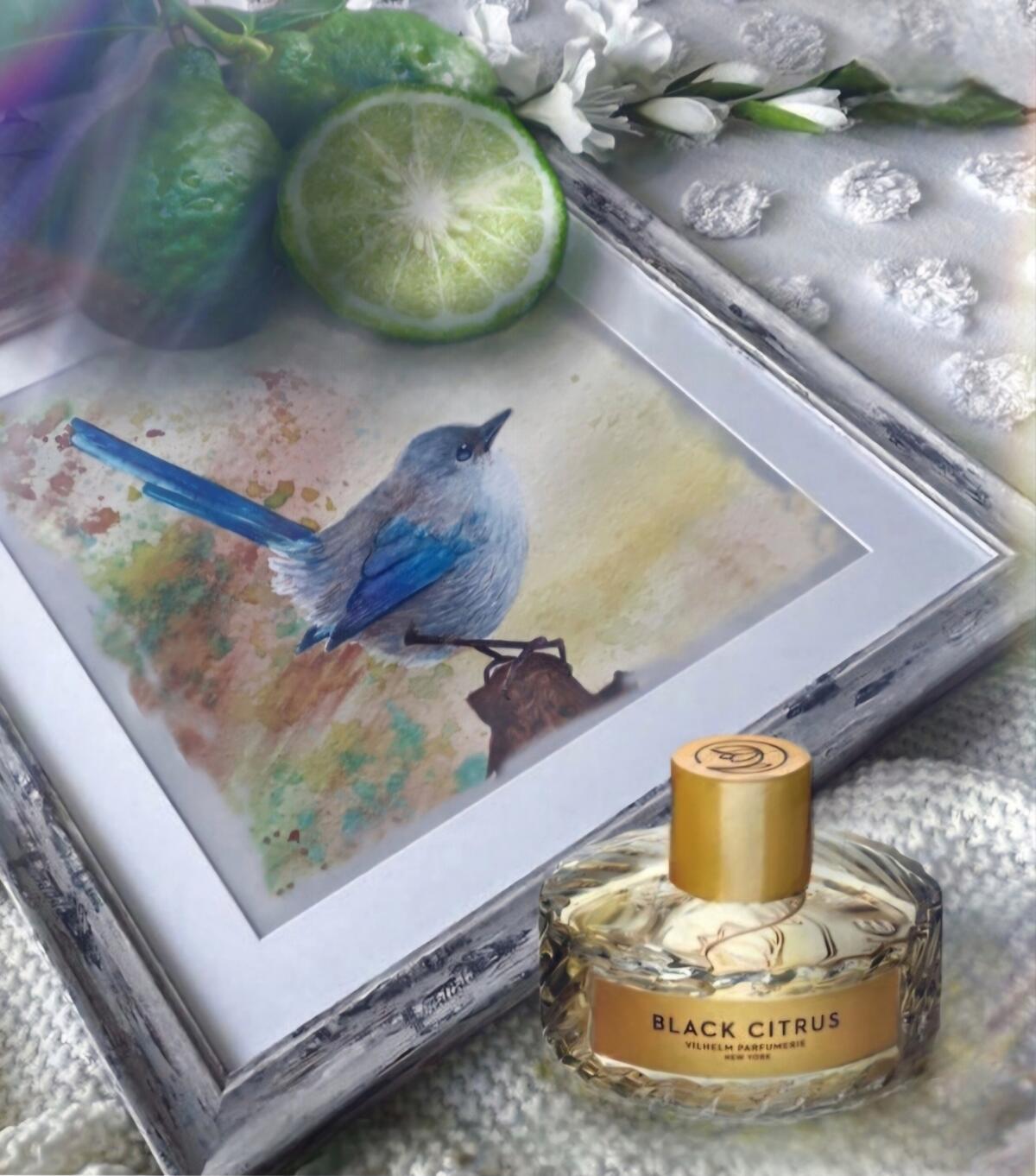 Black Citrus Vilhelm Parfumerie perfume - a fragrância Compartilhável 2015