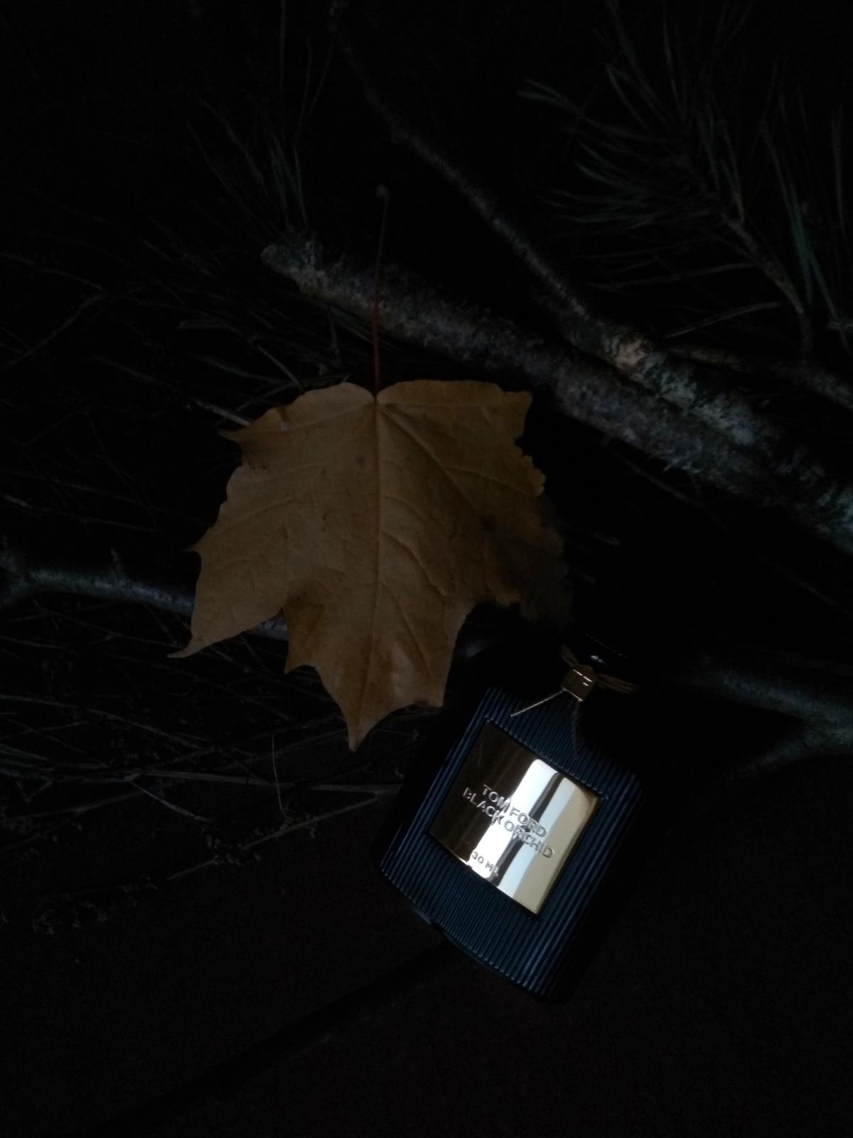 Black Orchid Tom Ford Parfum - ein es Parfum für Frauen 2006