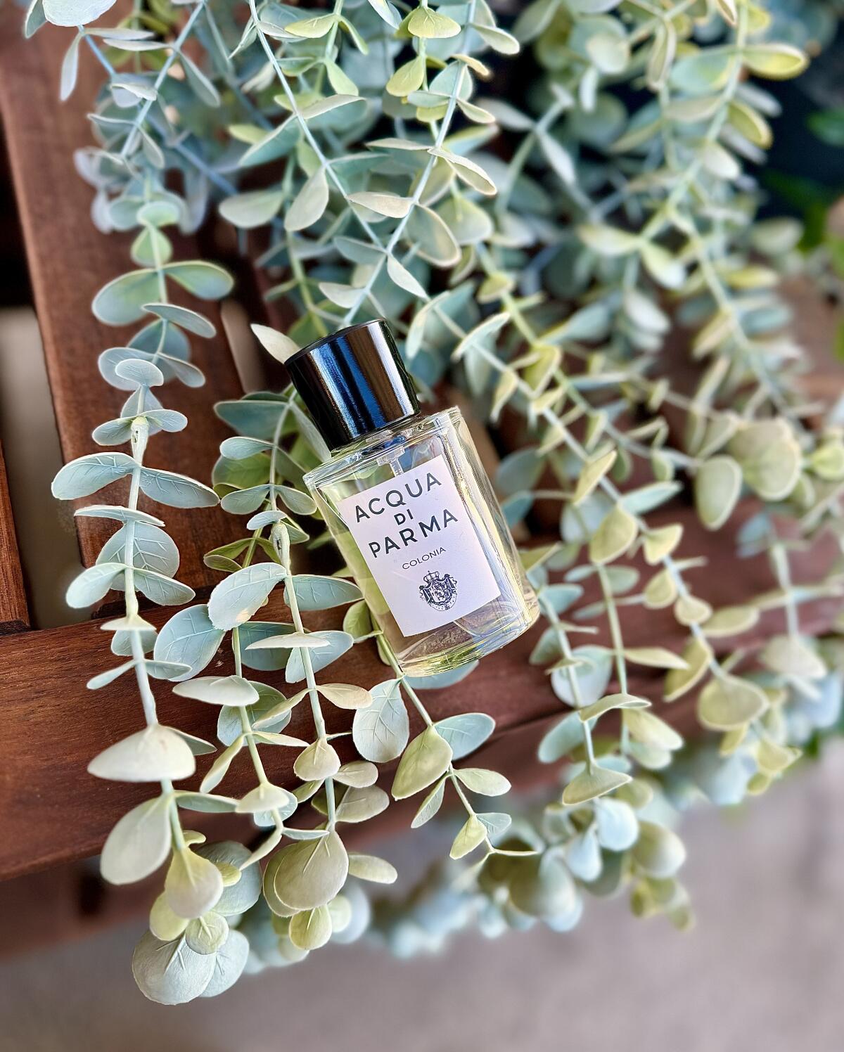 Acqua di Parma Colonia Acqua di Parma Parfum - ein es Parfum für Frauen ...