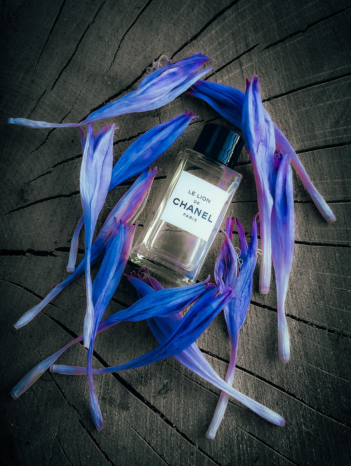 Le Lion Eau de Parfum Chanel parfum - un parfum unisex 2020