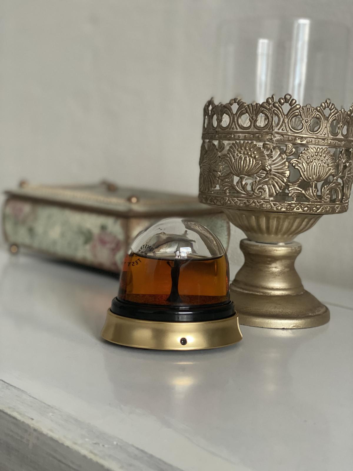 Fragile Jean Paul Gaultier perfume - a fragrância Feminino 1999